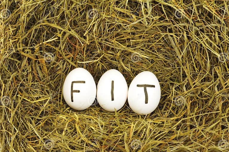 Fit stock image. Image of concept, copy, sports, health - 14238321