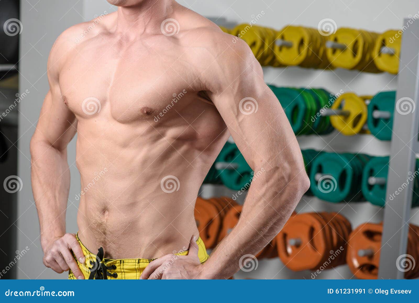 Fit Bodybuilder Posing in Gym. without Head Stock Image - Image of ...