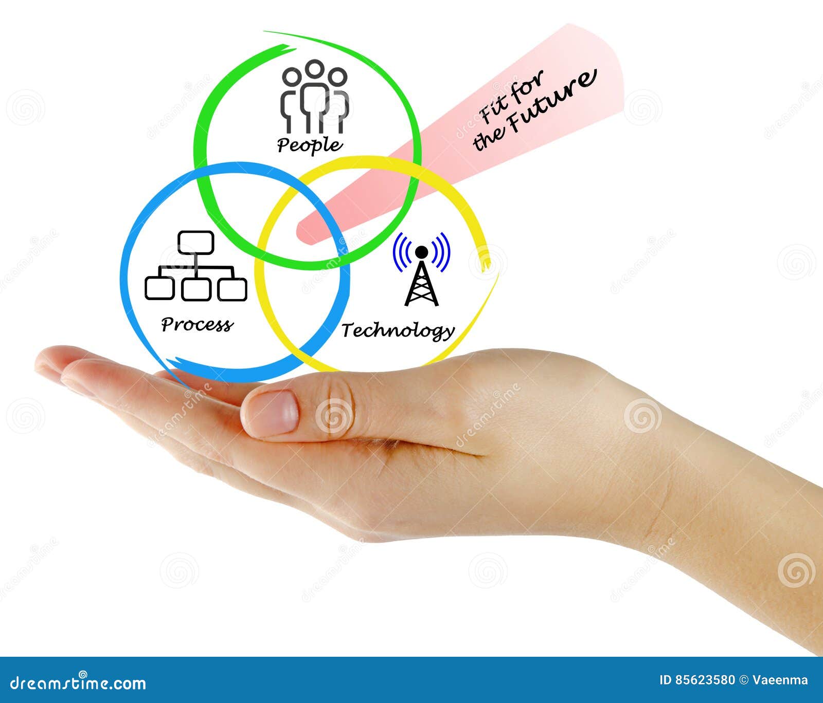 Fit for Future stock photo. Image of manager, palm, person - 85623580