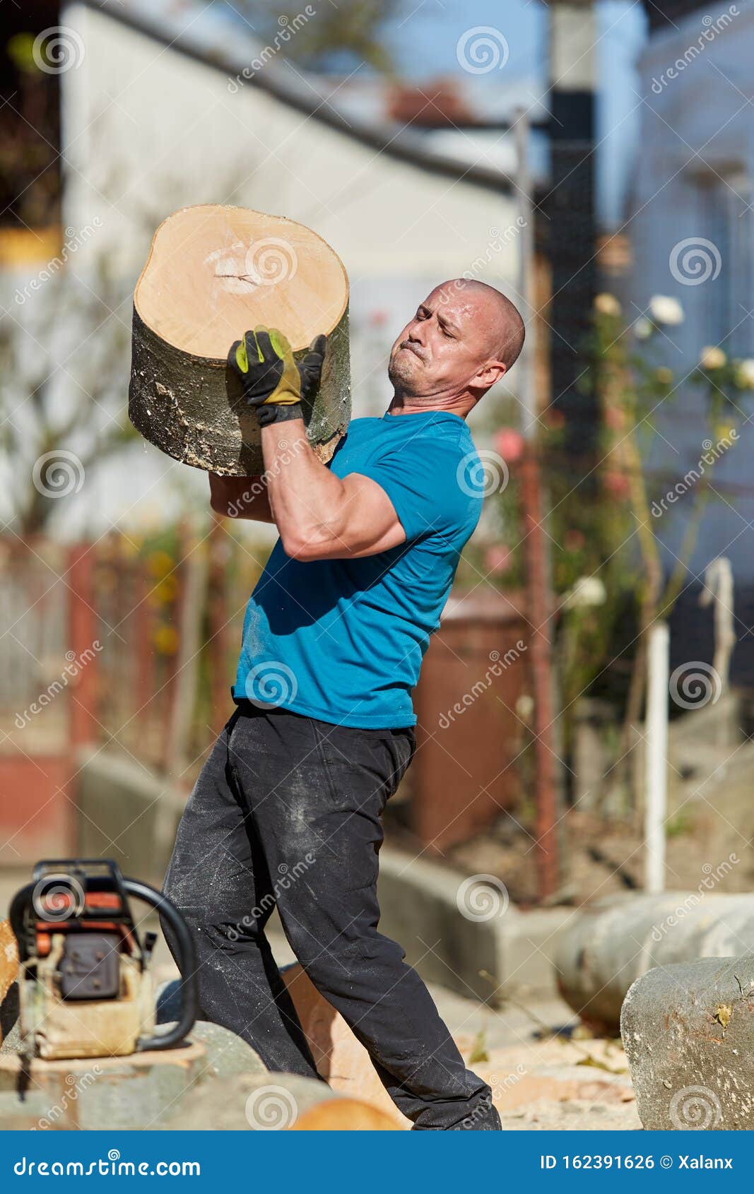 Fit Lumberjack Carrying Beech Logs Stock Photo - Image of firewood ...