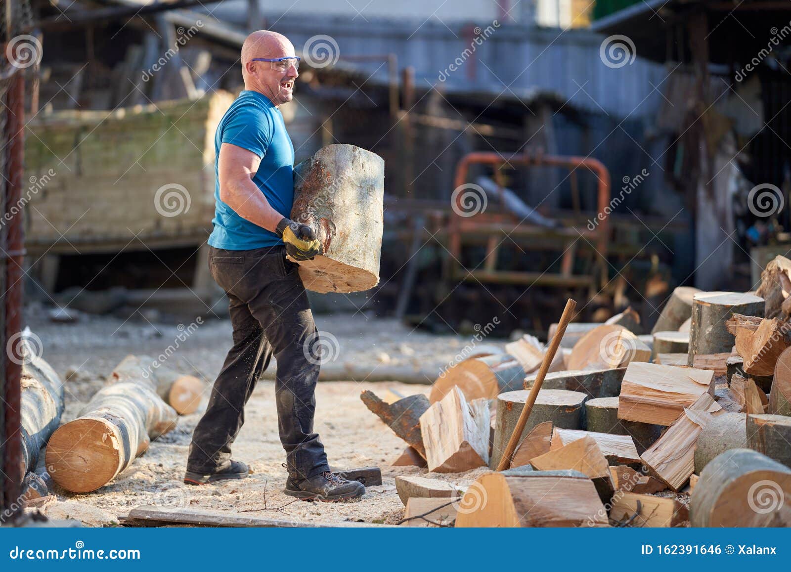 Fit Lumberjack Carrying Beech Logs Stock Photo - Image of hold ...