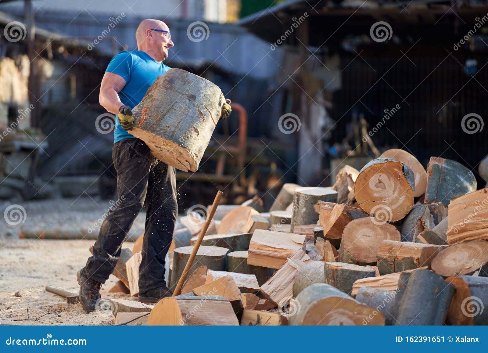 Fit Lumberjack Carrying Beech Logs Stock Image - Image of logging ...