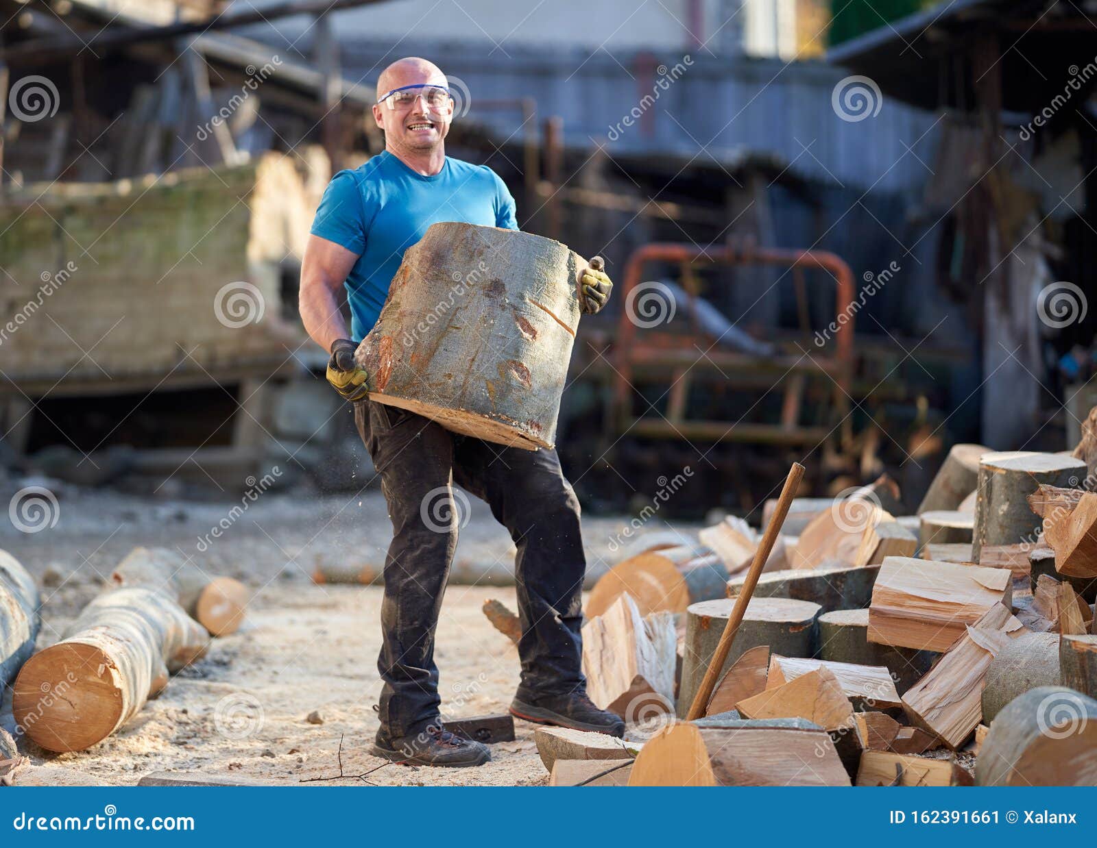 Fit Lumberjack Carrying Beech Logs Stock Image - Image of people, carry ...