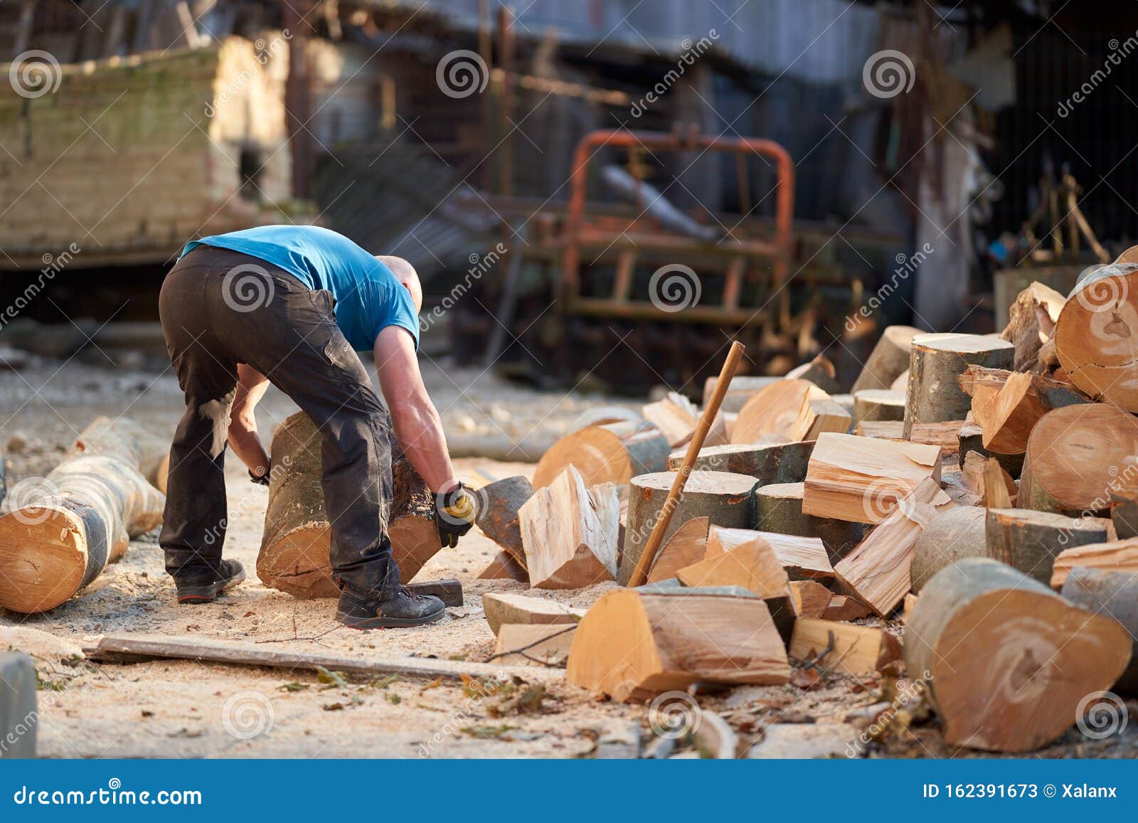 Fit Lumberjack Carrying Beech Logs Stock Image - Image of split, timber ...