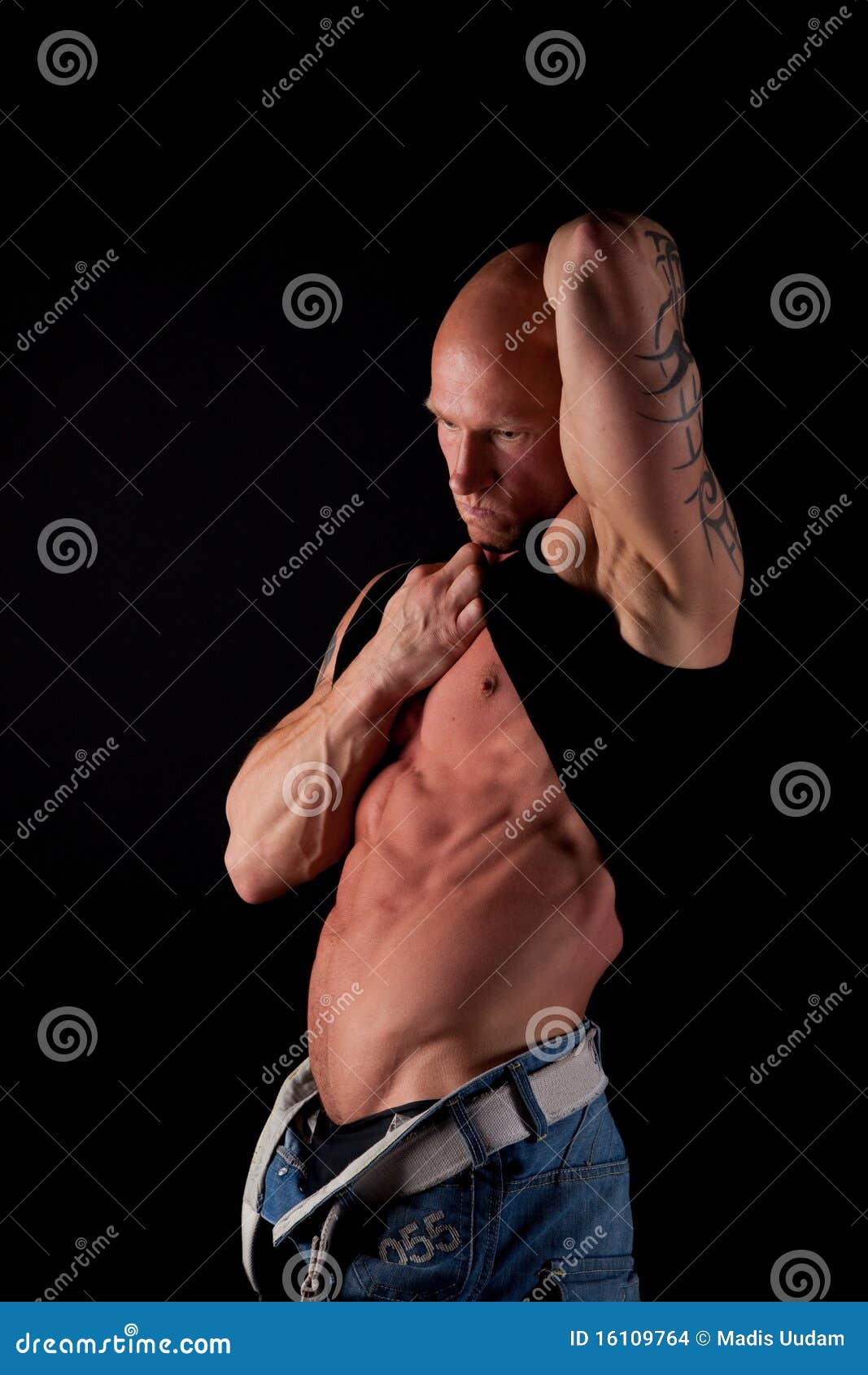 Fit Male Model stock photo. Image of male, people, lifestyle - 16109764