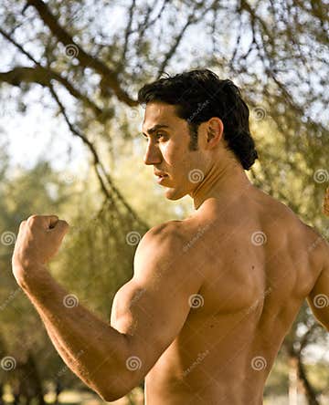 Fit male model stock photo. Image of athlete, champion - 5448792