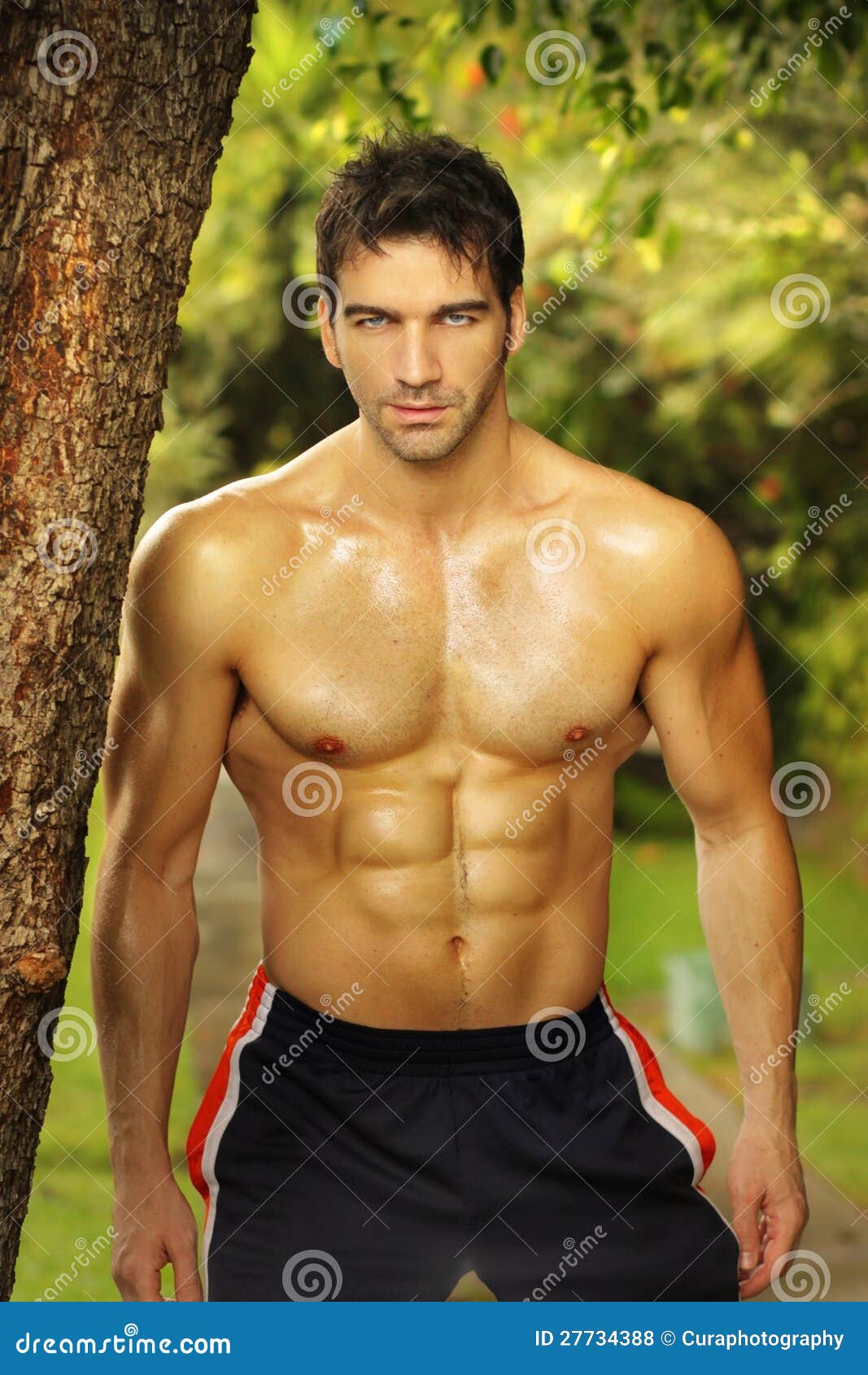 Fit man stock photo. Image of exercise, bodybuilder, sport - 27734388
