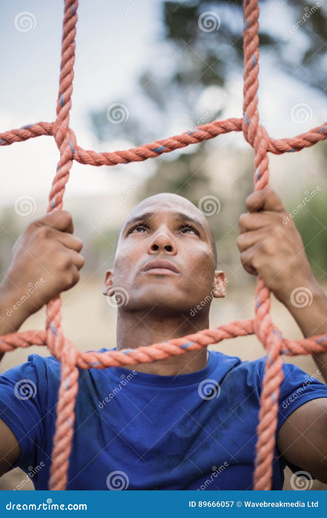 Fit Man Climbing a Net during Obstacle Course Stock Image - Image of ...