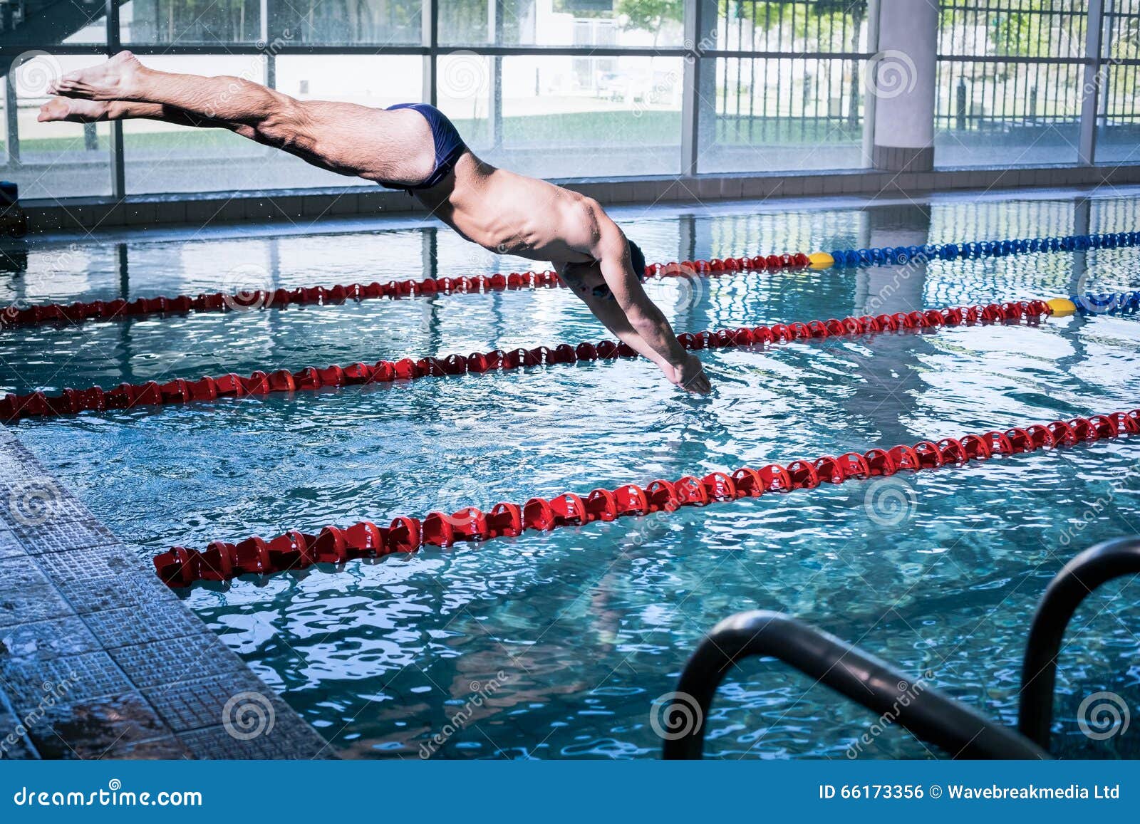 Fit man diving stock photo. Image of body, relax, recreational - 66173356