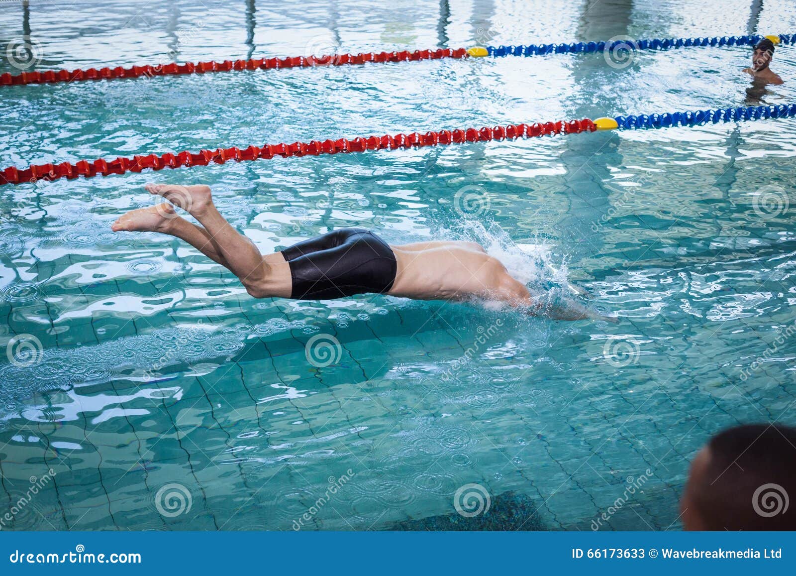 Fit Man Diving in the Water Stock Image - Image of cheerful, smiling ...