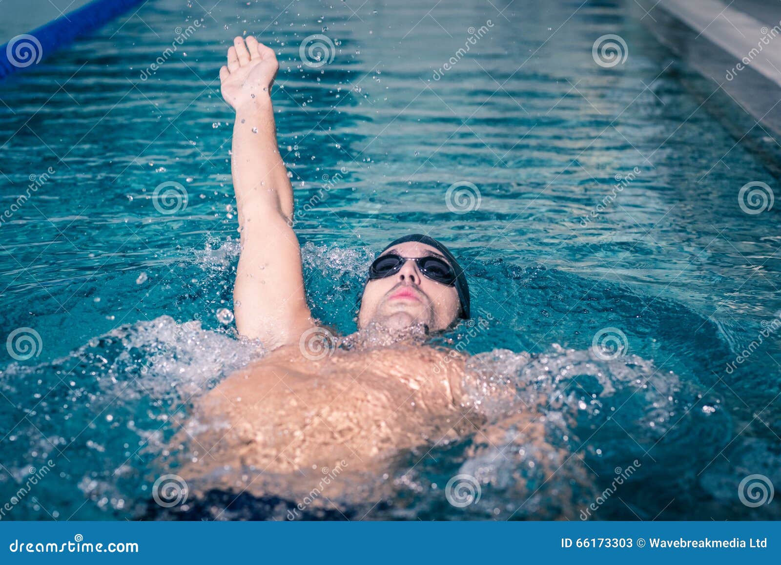Fit Man Swimming on the Back Stock Image - Image of indoors, pursuit ...