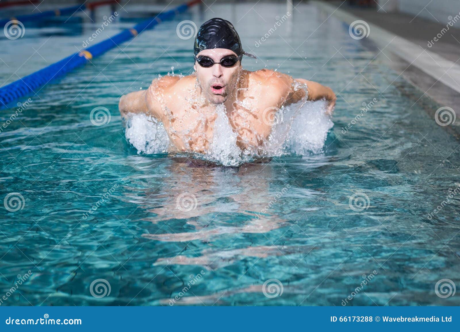Fit man swimming stock photo. Image of smiling, attractive - 66173288