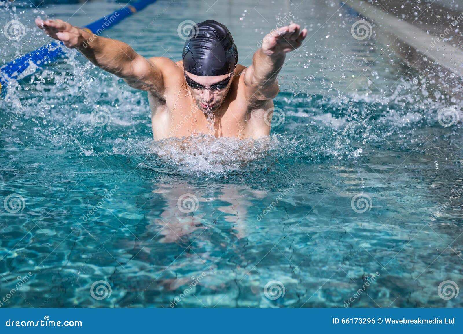 Fit man swimming stock photo. Image of center, smiling - 66173296