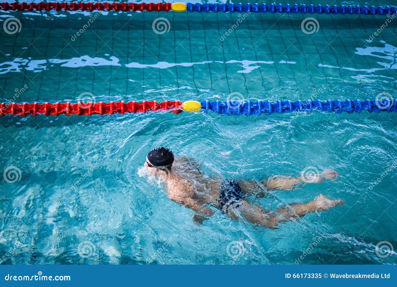 Fit man swimming stock image. Image of recreational, male - 66173335