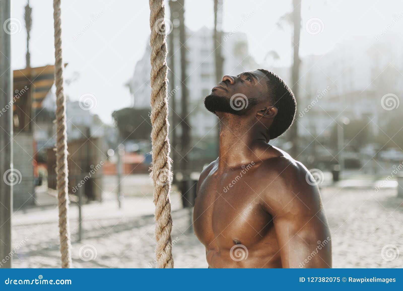 Fit Man Working Out with Ropes Stock Image - Image of male, bodybuilder ...
