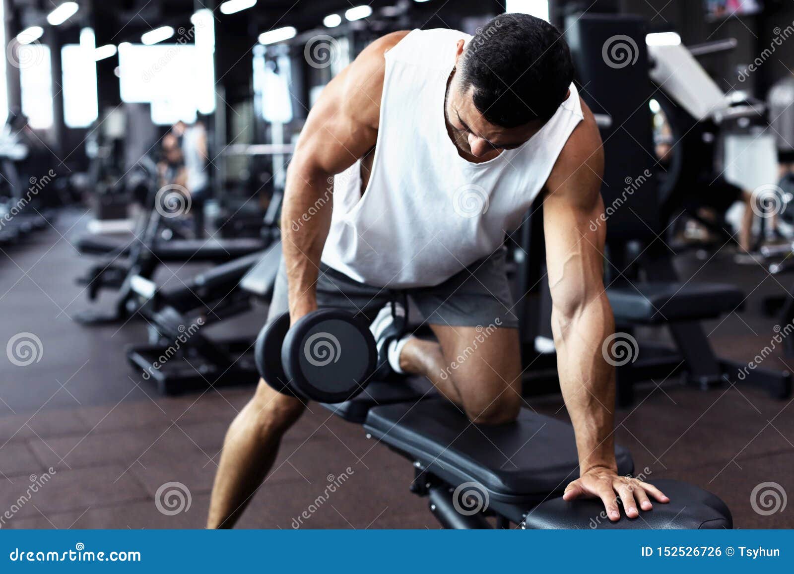 Fit and Muscular Man Trains with Dumbbells Stock Photo - Image of ...