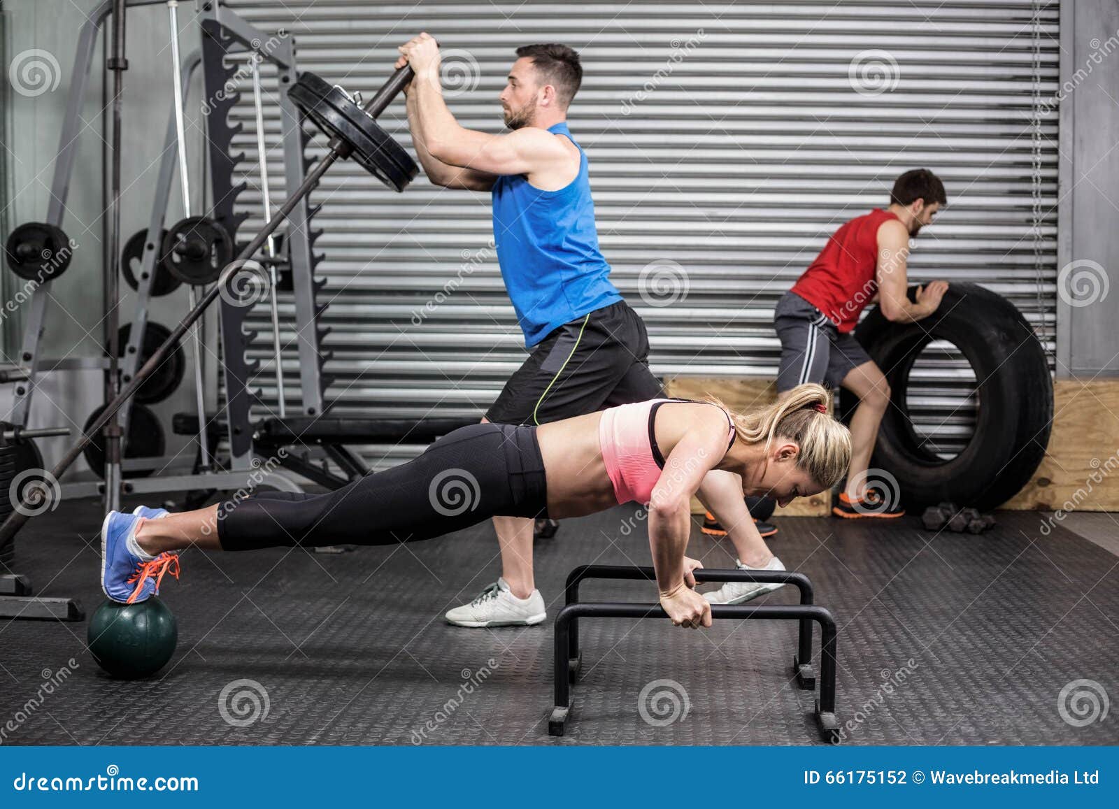 Fit people doing exercises stock photo. Image of female - 66175152