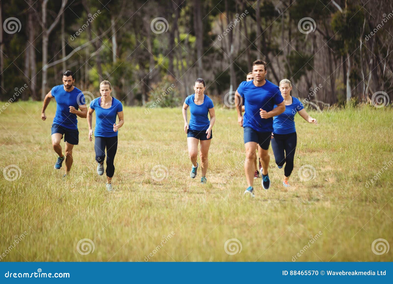 Fit people running stock photo. Image of leisure, camp - 88465570