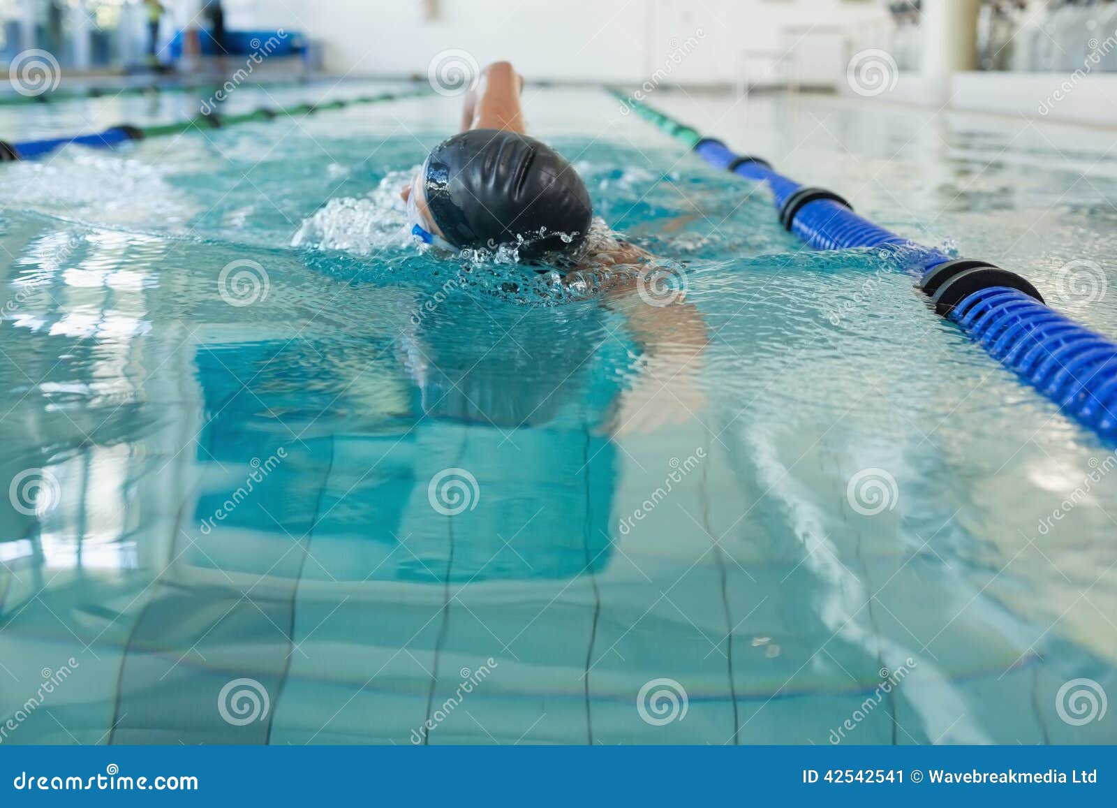 Fit Swimmer Doing the Front Stroke in the Swimming Pool Stock Image ...