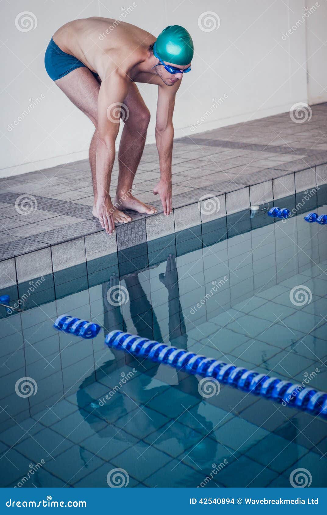Fit Swimmer Ready To Dive into the Pool Stock Photo - Image of leisure ...