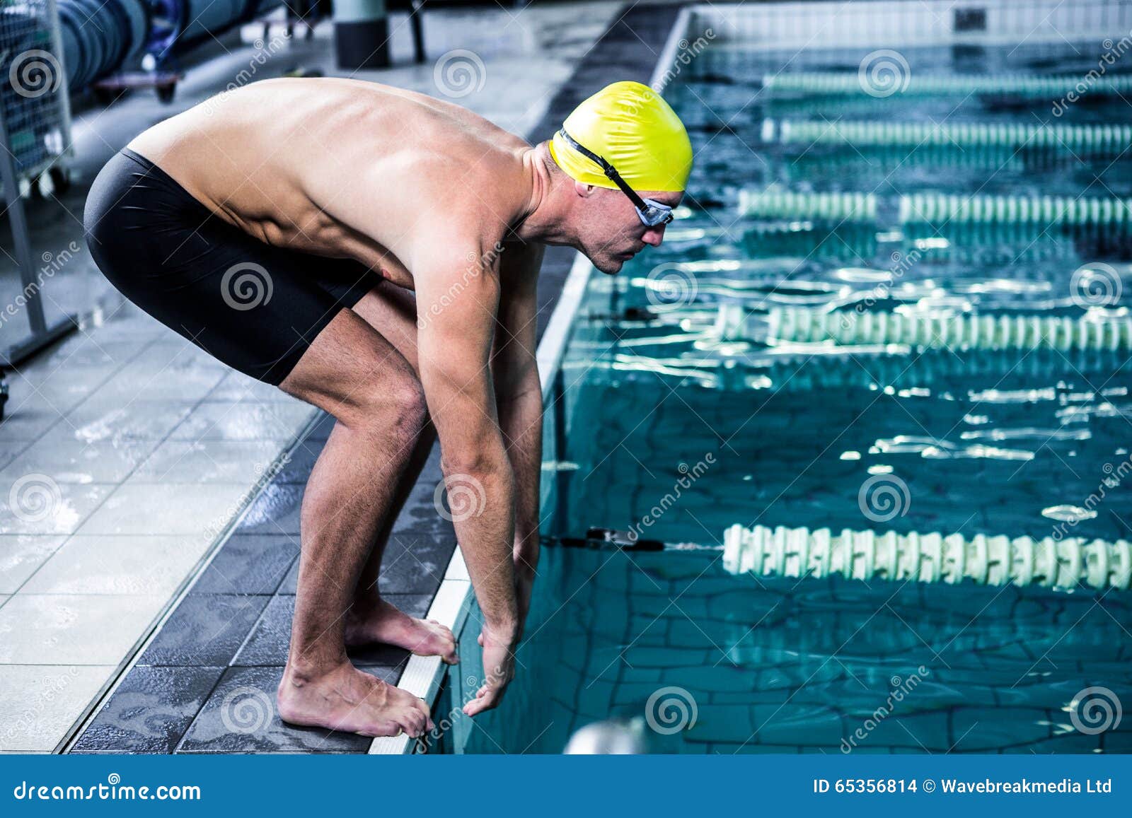 Fit Swimmer about To Dive into the Swimming Pool Stock Photo - Image of ...