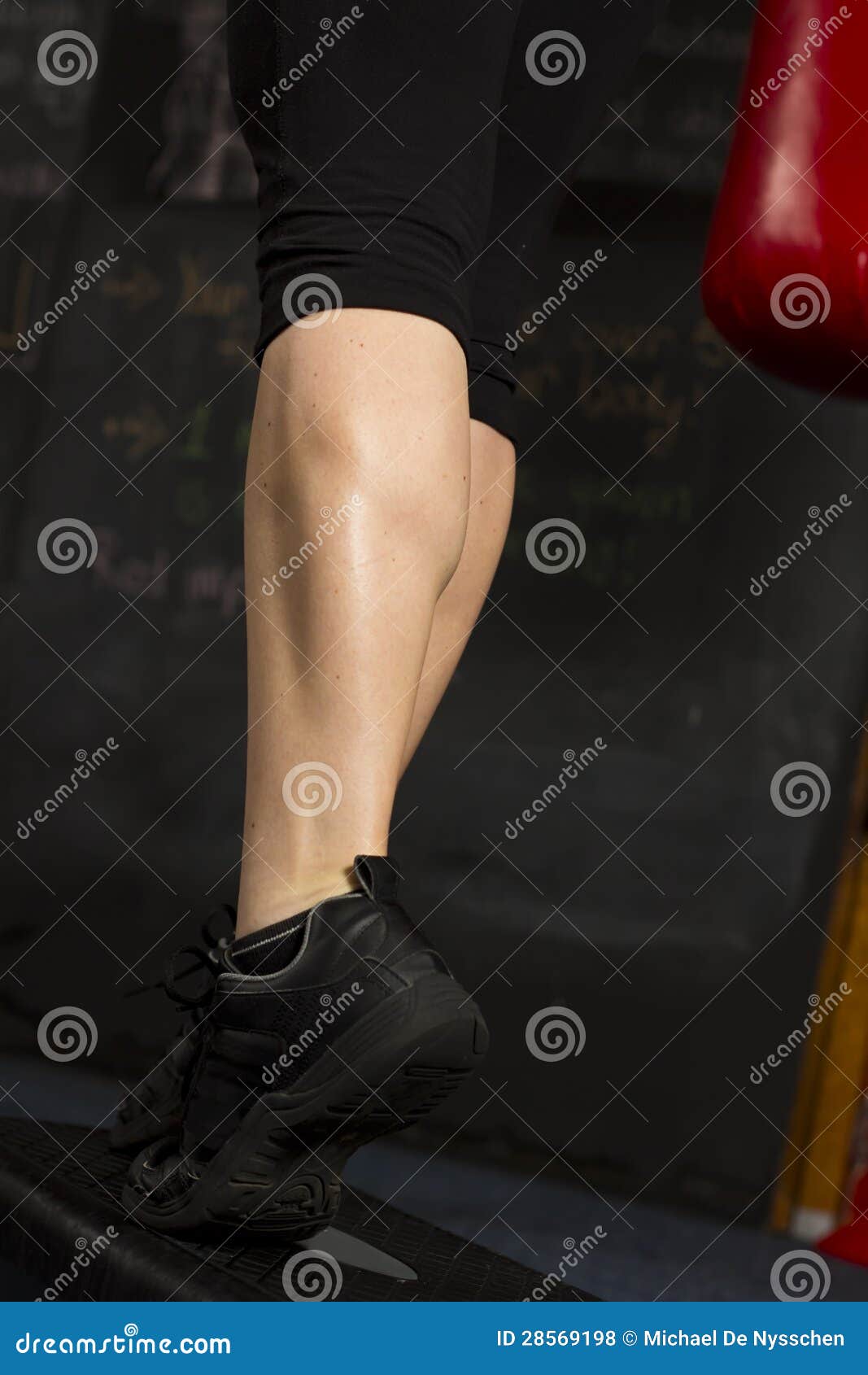 Woman legs calves stock photo. Image of fitness, definition - 28569198