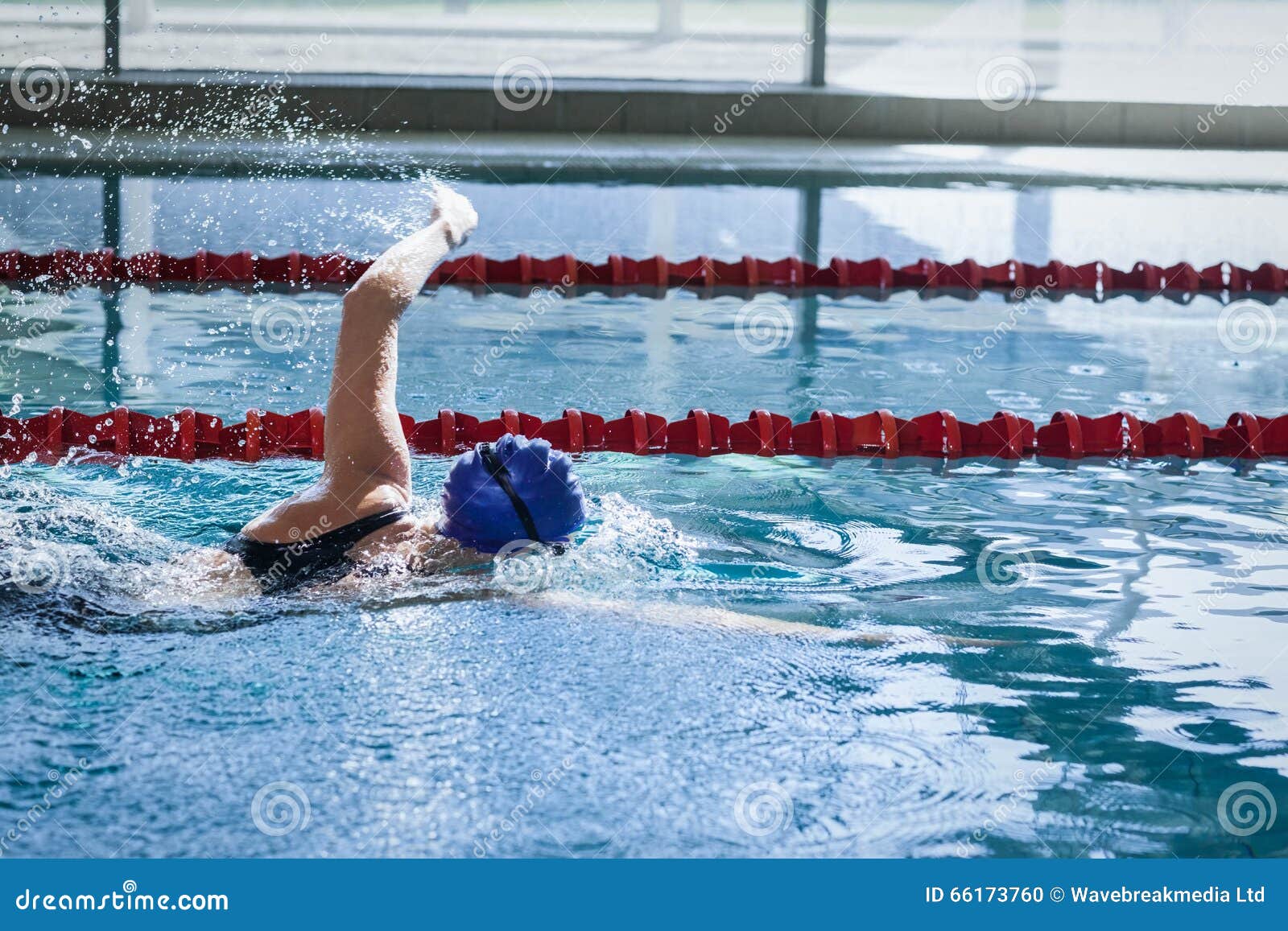 Fit woman swimming stock photo. Image of athletic, pool - 66173760