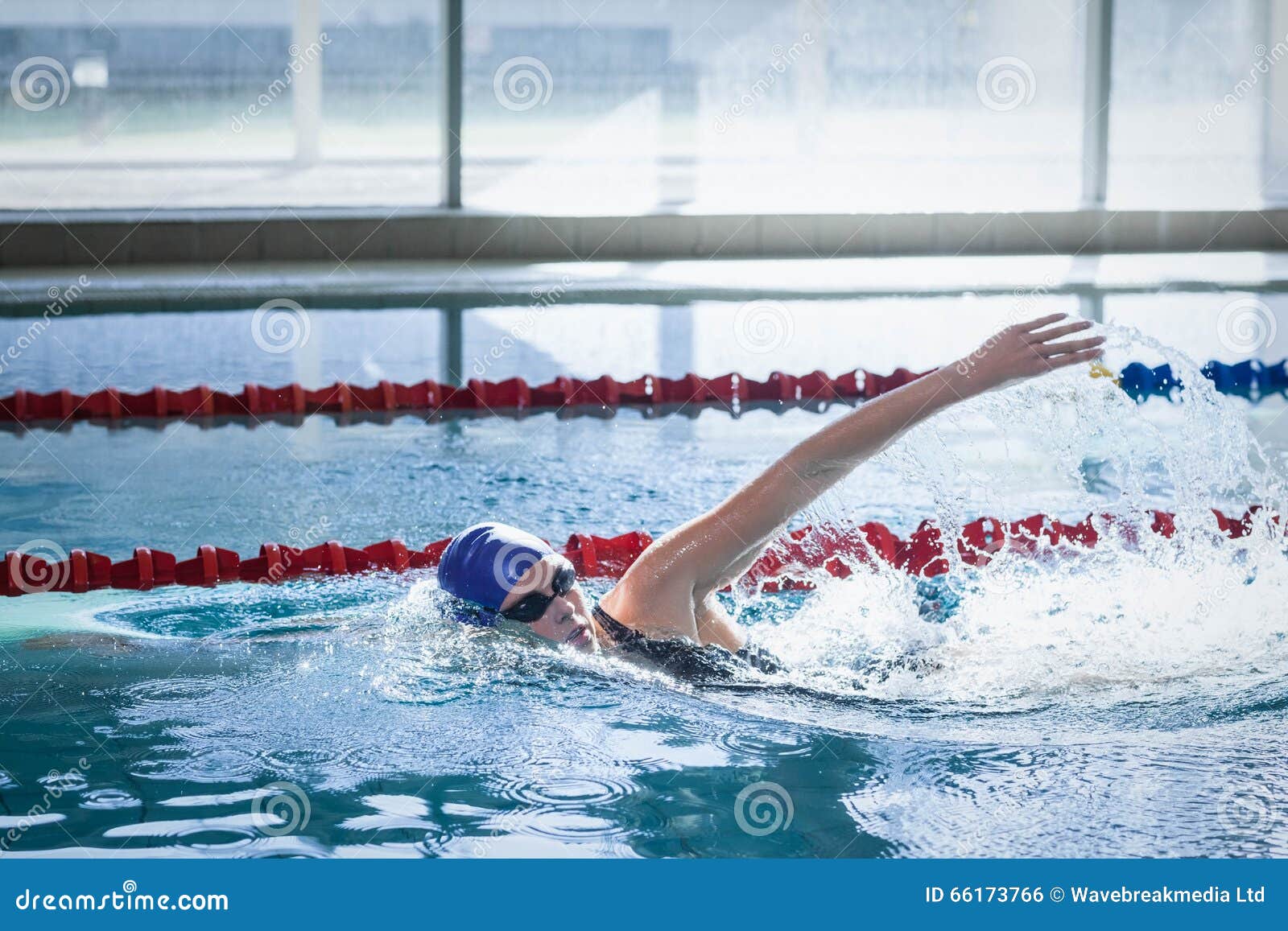 Fit woman swimming stock photo. Image of person, attentively - 66173766