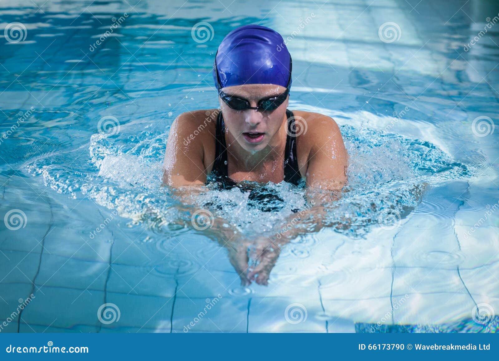 Fit woman swimming stock photo. Image of sport, concentrating - 66173790