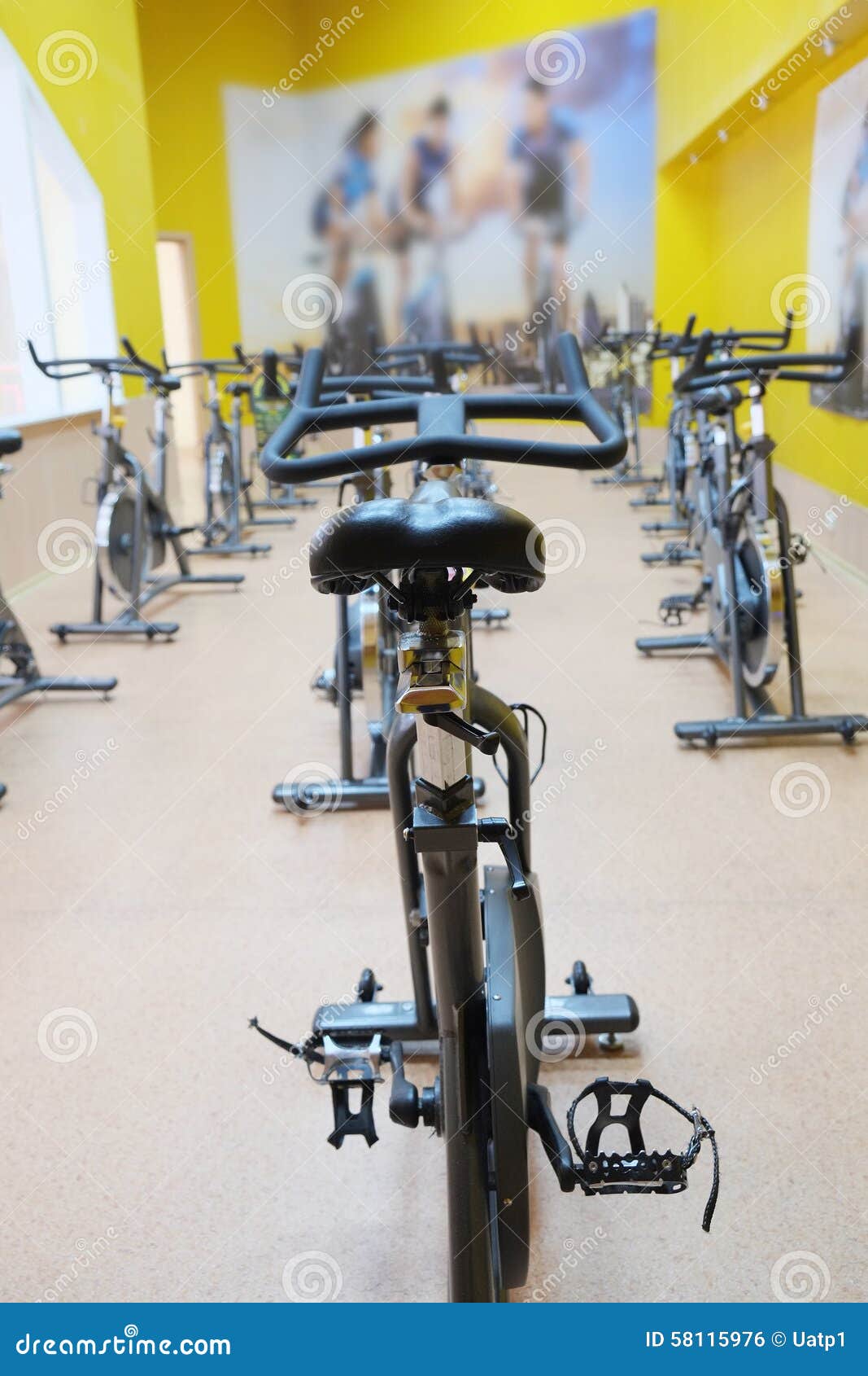 Fitness bycicles stock photo. Image of leisure, care - 58115976