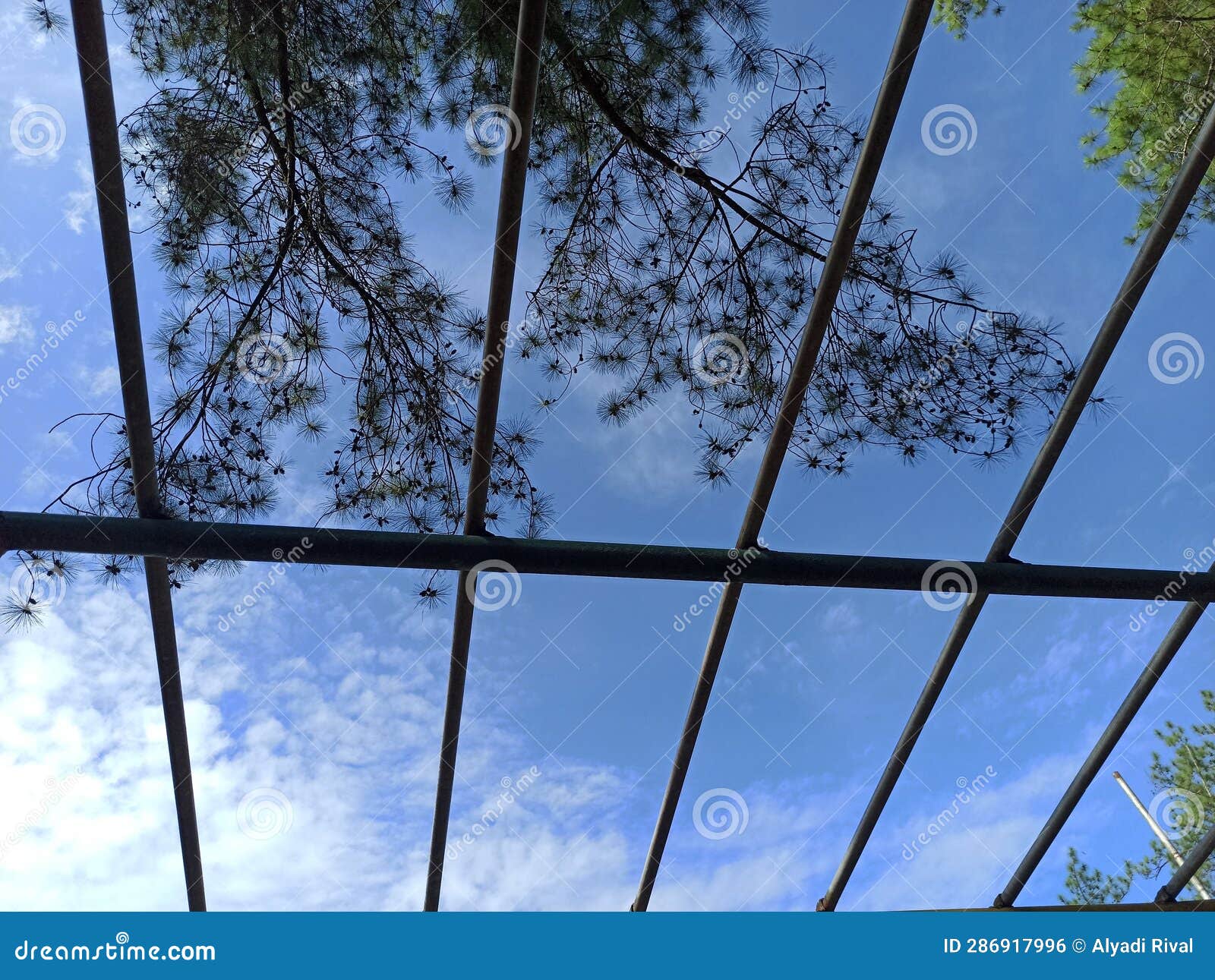 Fitness Equipment in the Military Complex Stock Photo - Image of ...