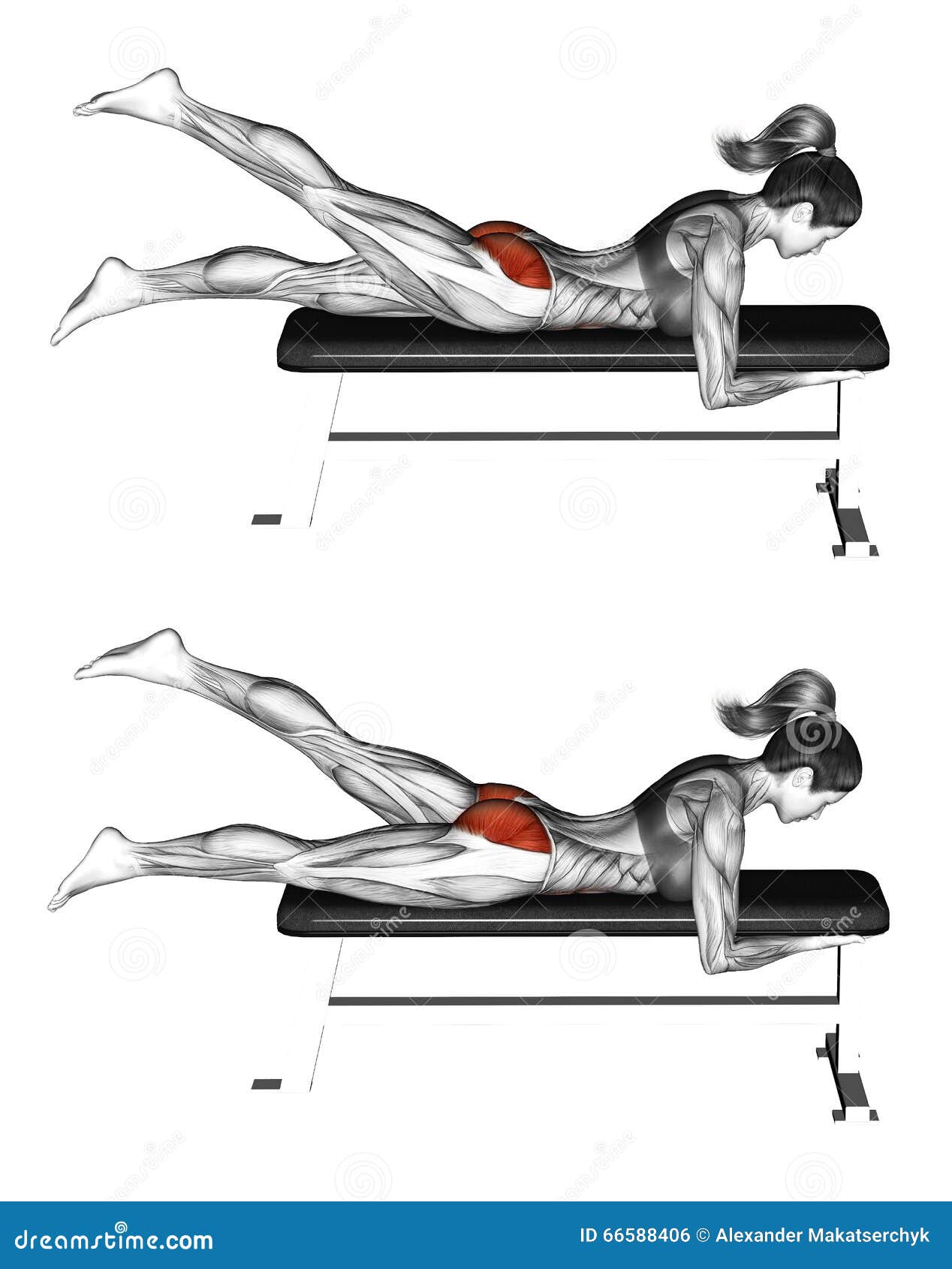 Spine Extension And Balance Yoga Asanas Set With Blocks Cartoon Vector ...