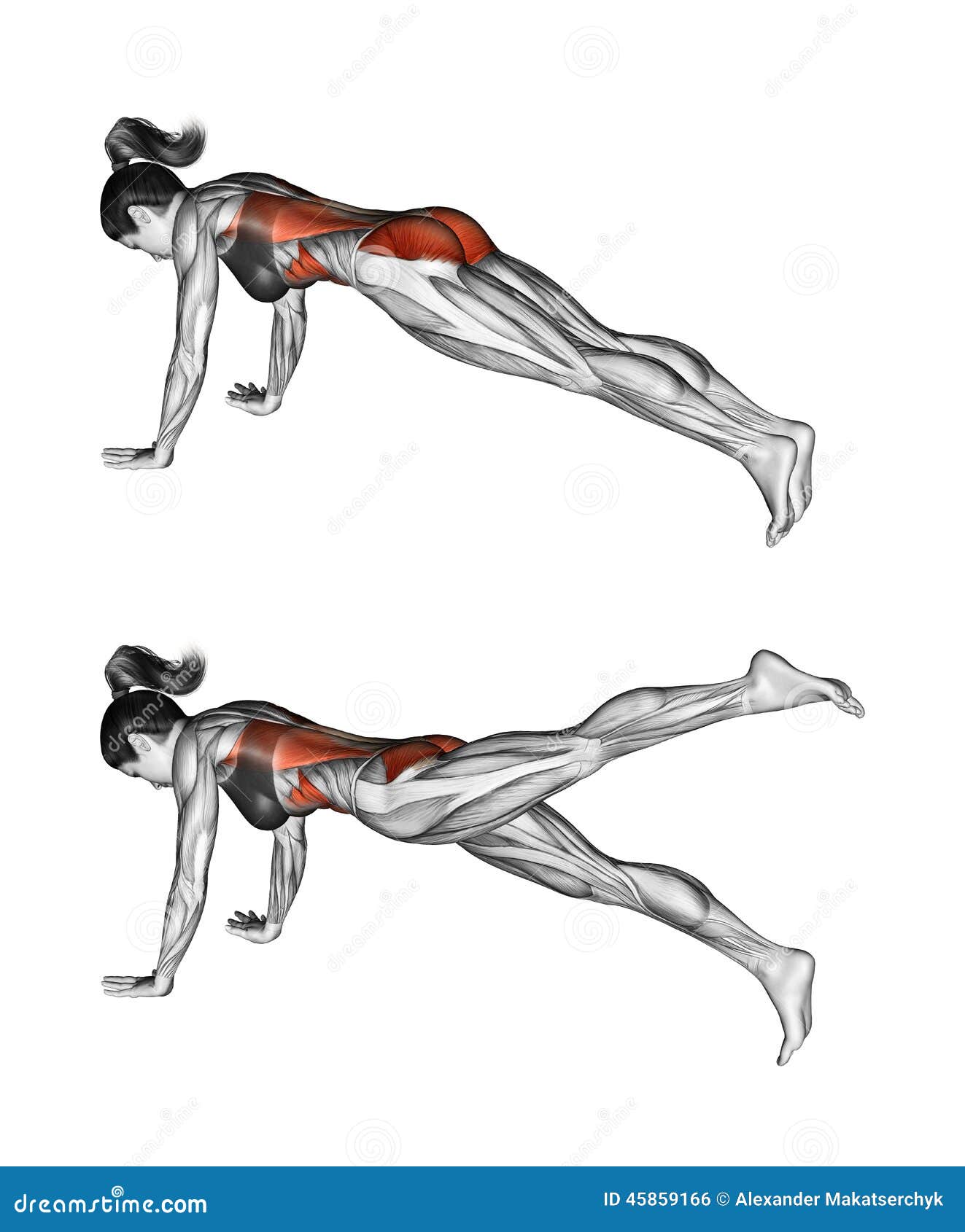 Final Position Stock Illustrations – 475 Final Position Stock ...