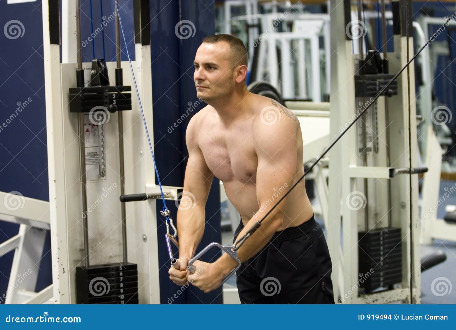Fitness gym training stock photo. Image of body, bodybuilder - 919494