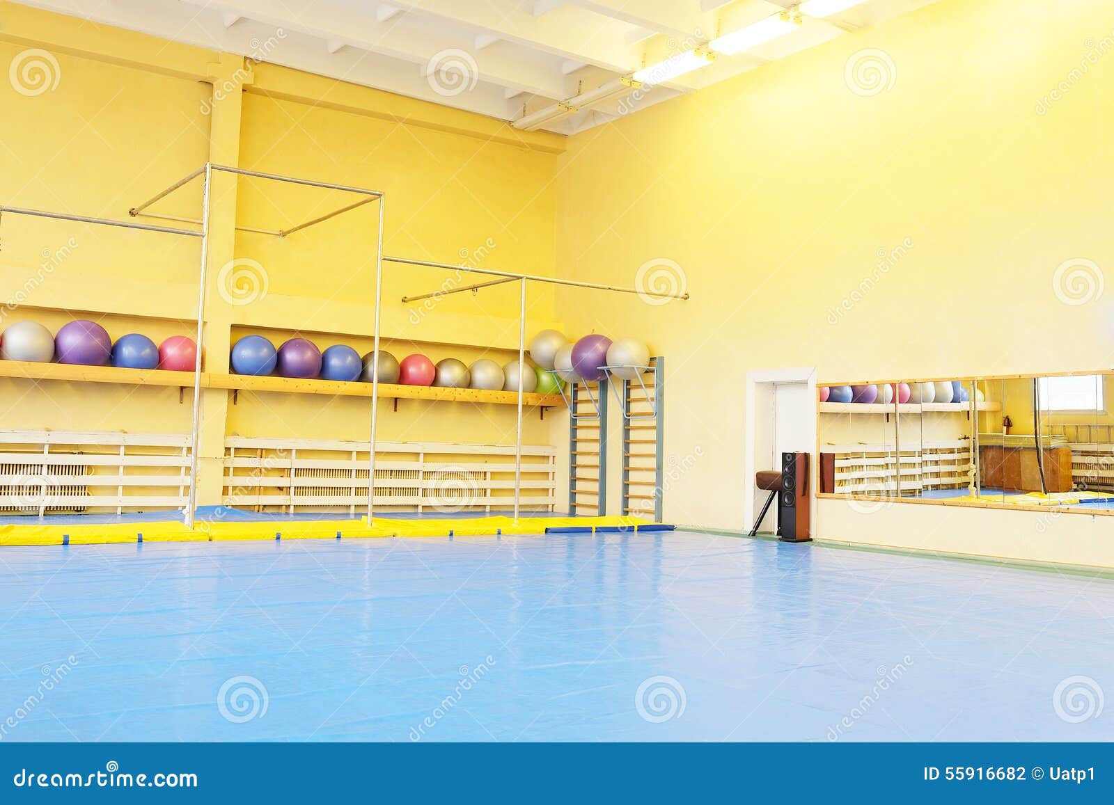 Fitness hall stock photo. Image of health, exercice, fitness - 55916682