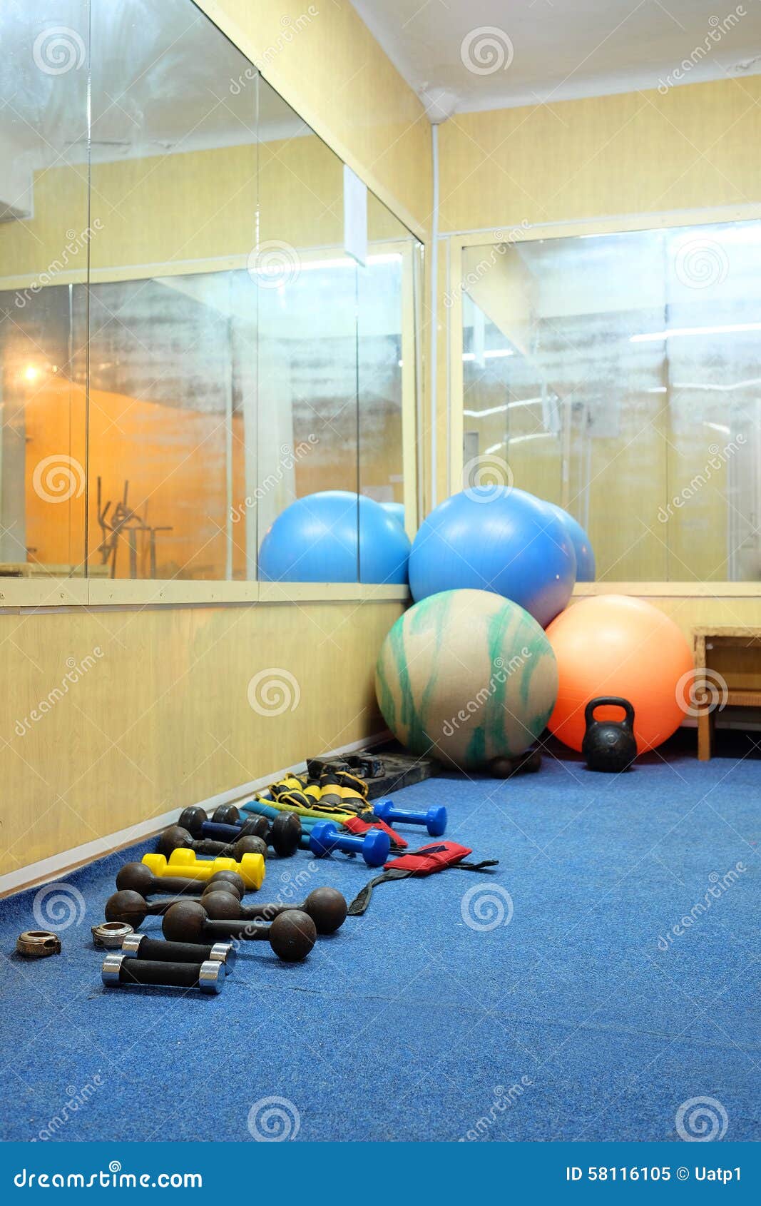 Fitness hall stock image. Image of wellness, power, physical - 58116105