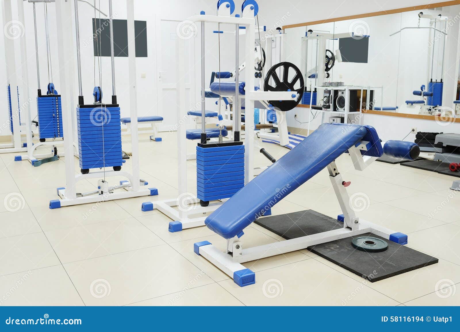 Fitness hall stock photo. Image of interior, athletic - 58116194