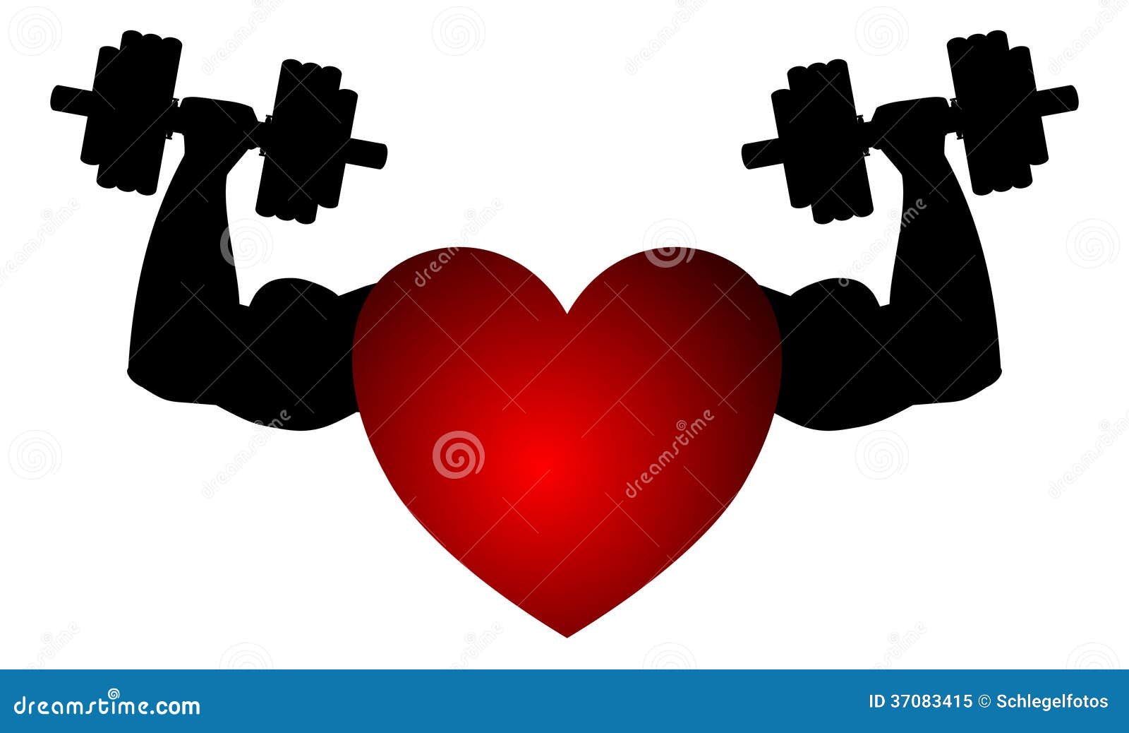 Fitness heart isolated stock illustration. Illustration of love - 37083415