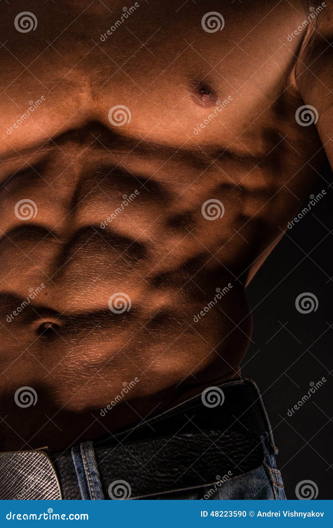 Fitness male torso stock photo. Image of tummy, torso - 48223590