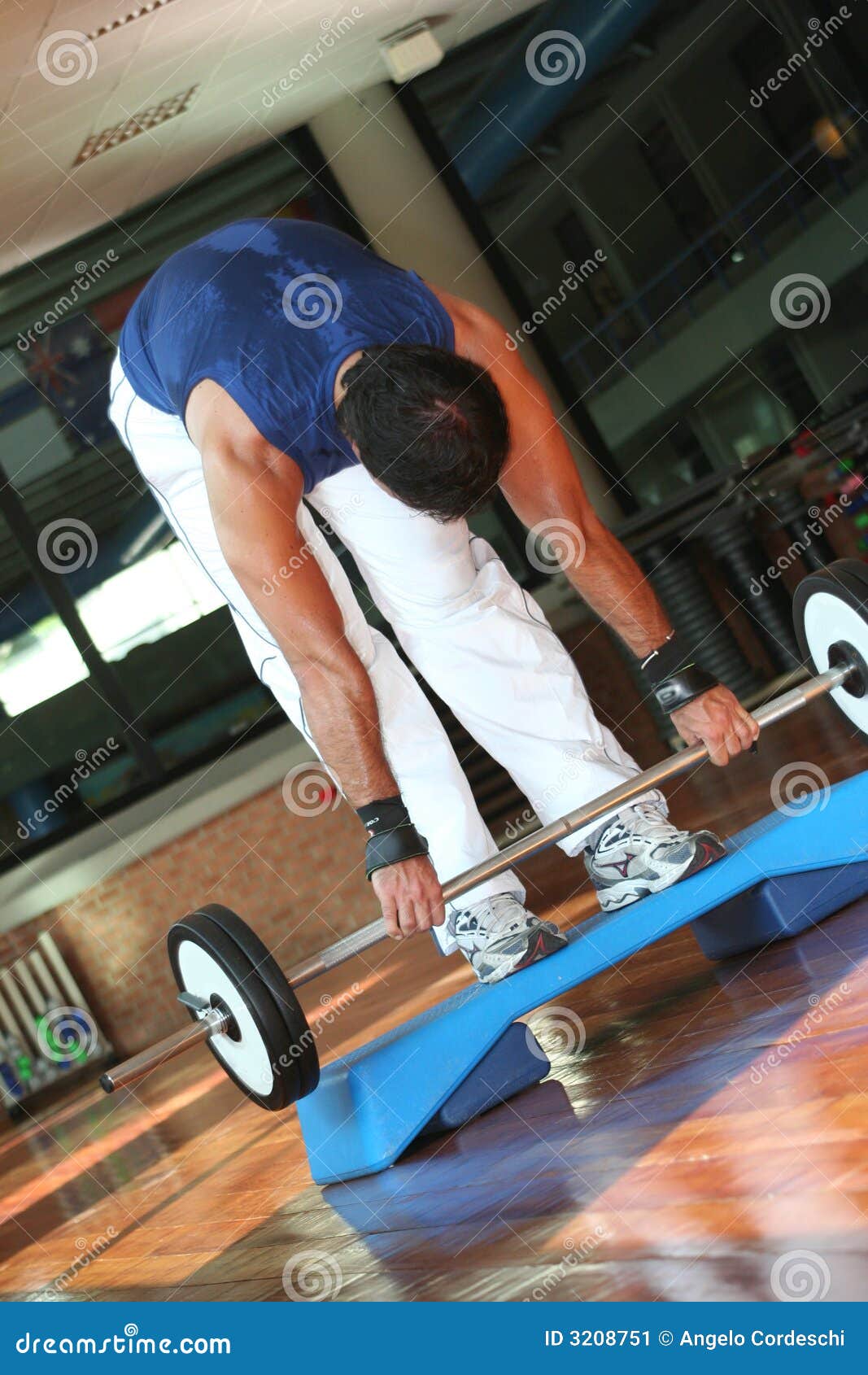 Fitness Men with Yoke stock image. Image of active, blue - 3208751