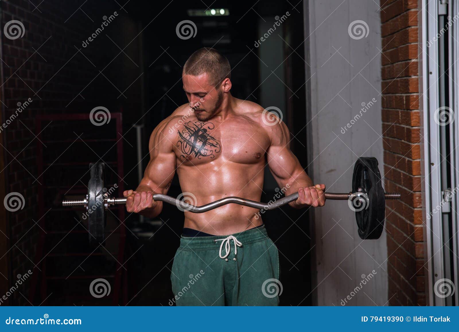 Fitness model stock photo. Image of physical, body, athlete - 79419390