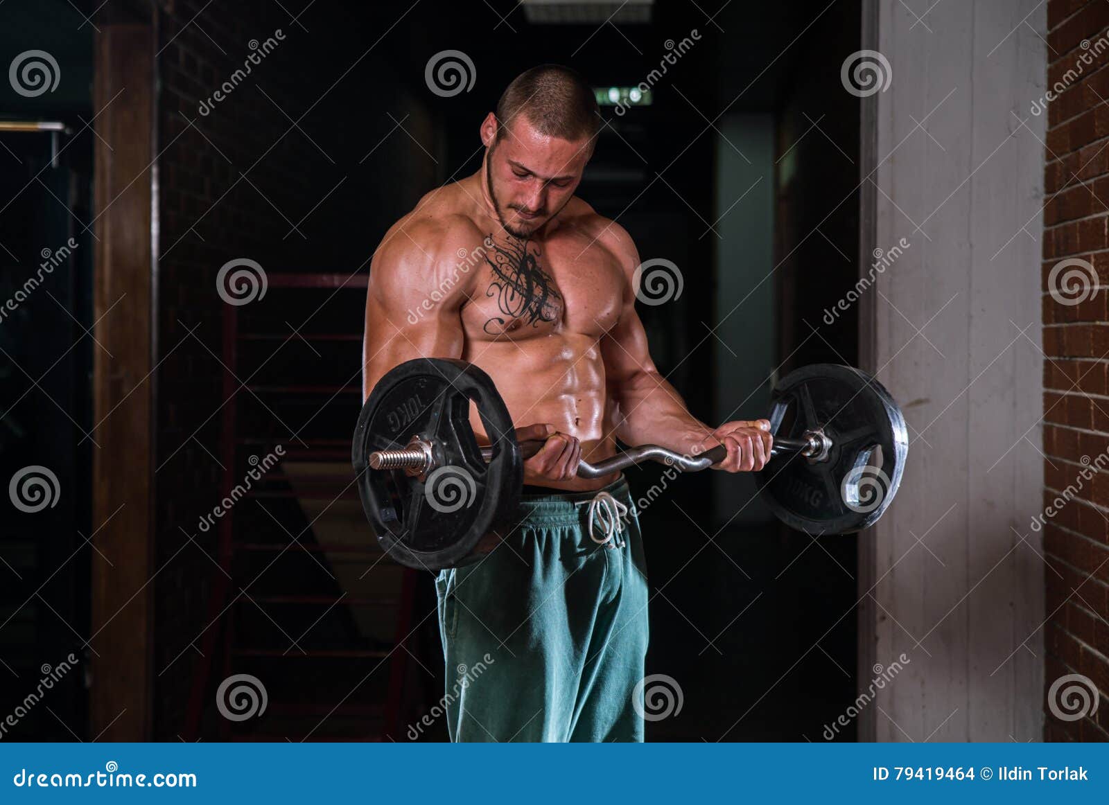 Fitness model stock photo. Image of exercise, handsome - 79419464