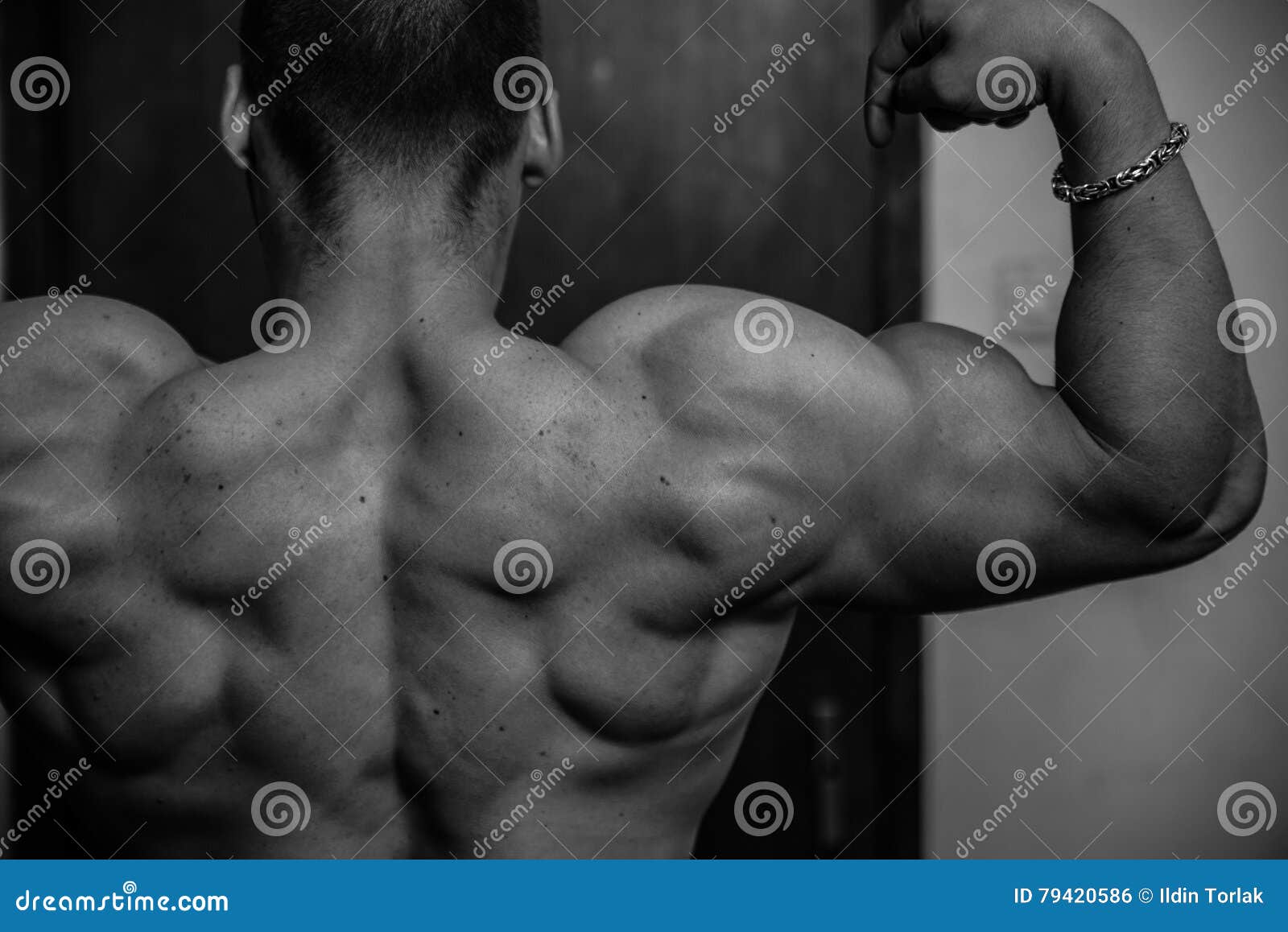 Fitness model stock photo. Image of muscles, people, person - 79420586