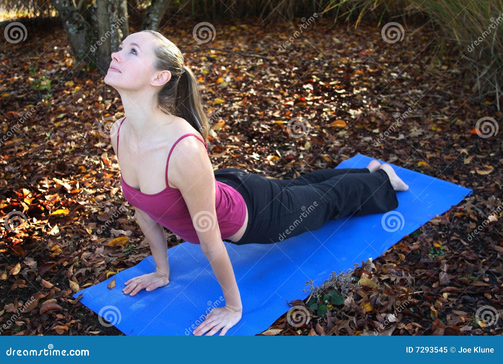 Fitness portrait stock image. Image of attitude, woman - 7293545