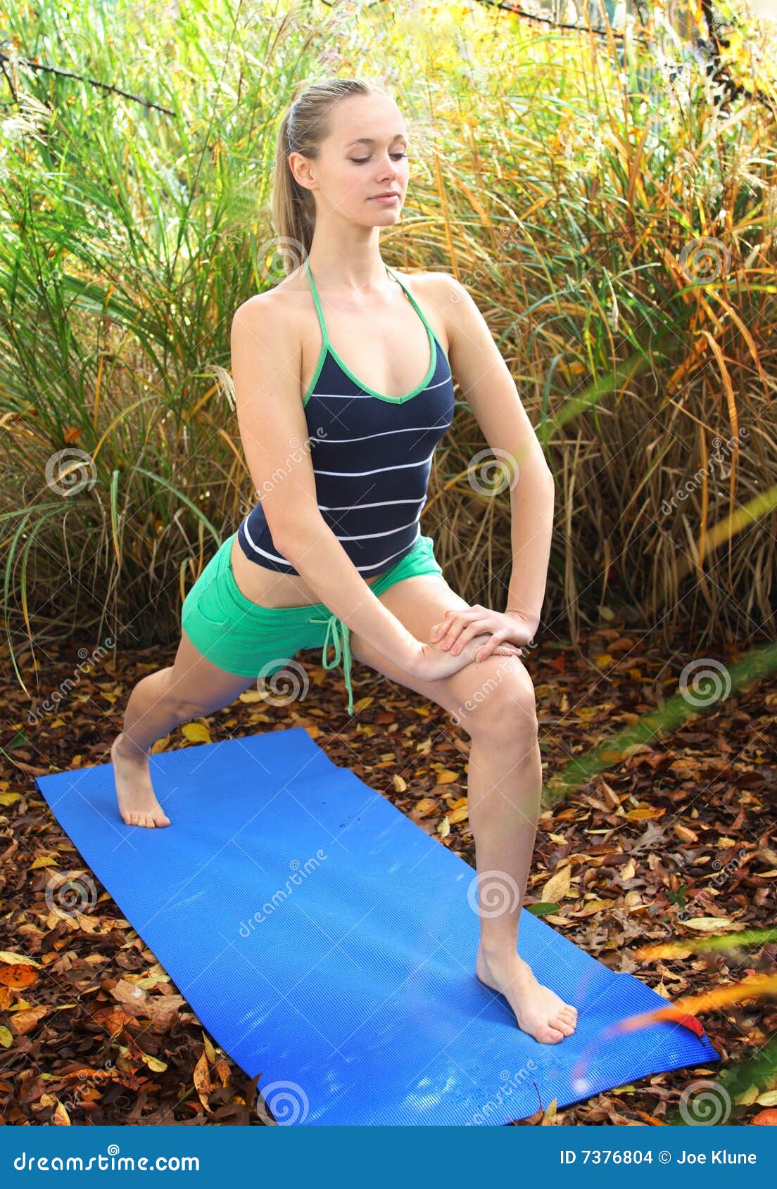 Fitness portrait stock photo. Image of hair, pretty, health - 7376804