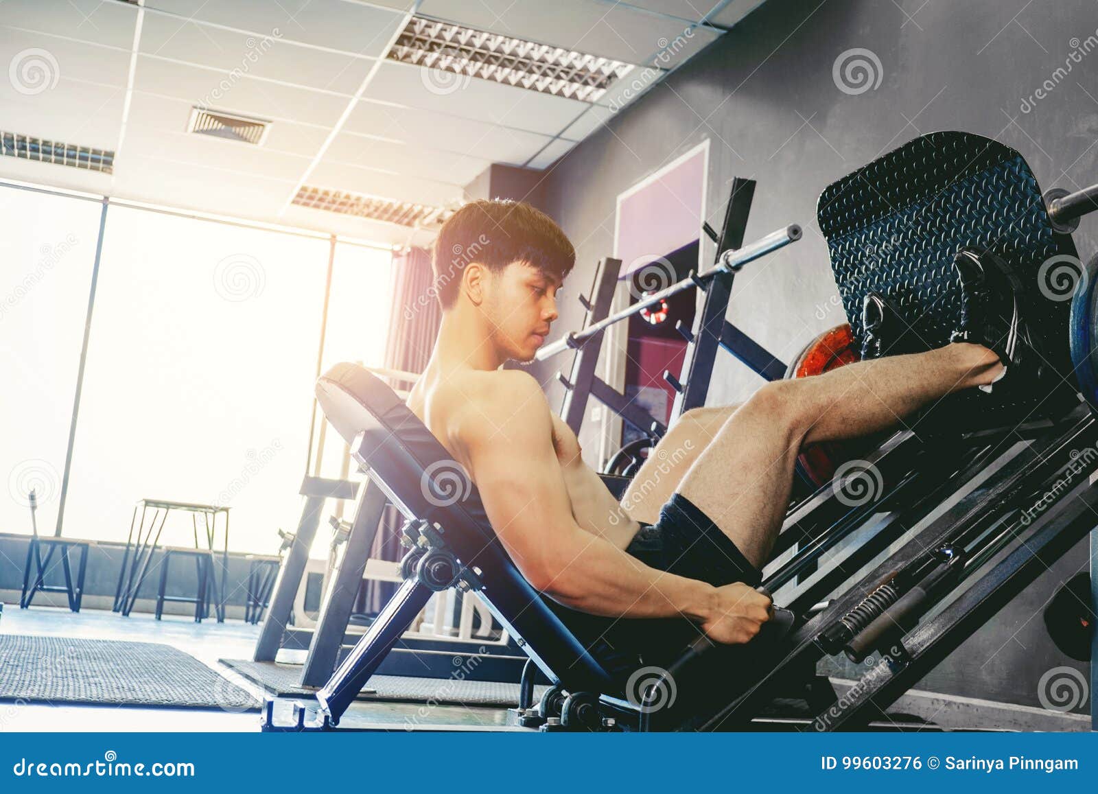 Fitness Young Man Exercising Using Rowing Machine in the Gym Stock ...