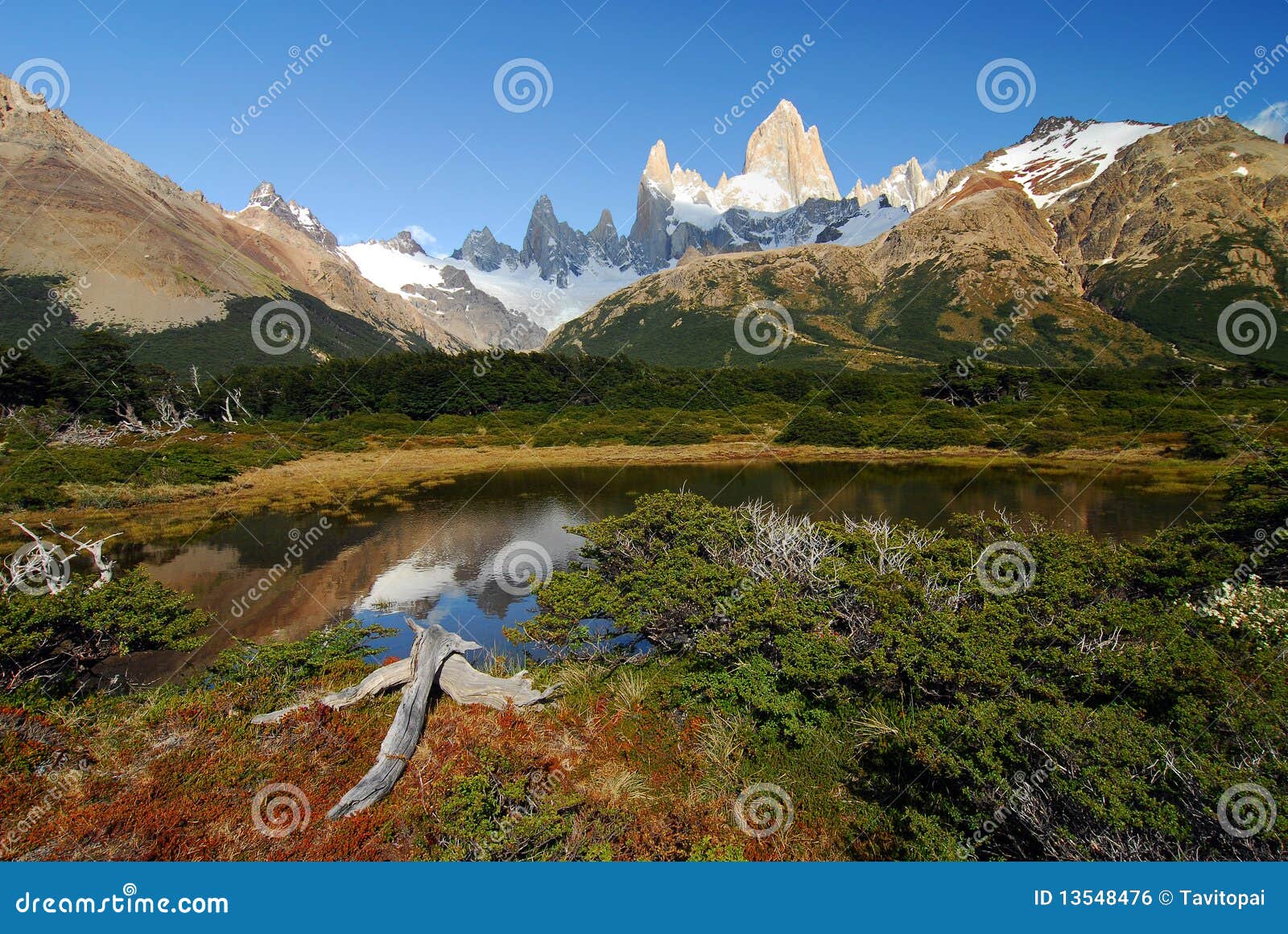 Fitz Roy stock photo. Image of cerro, cliff, andes, frozen - 13548476