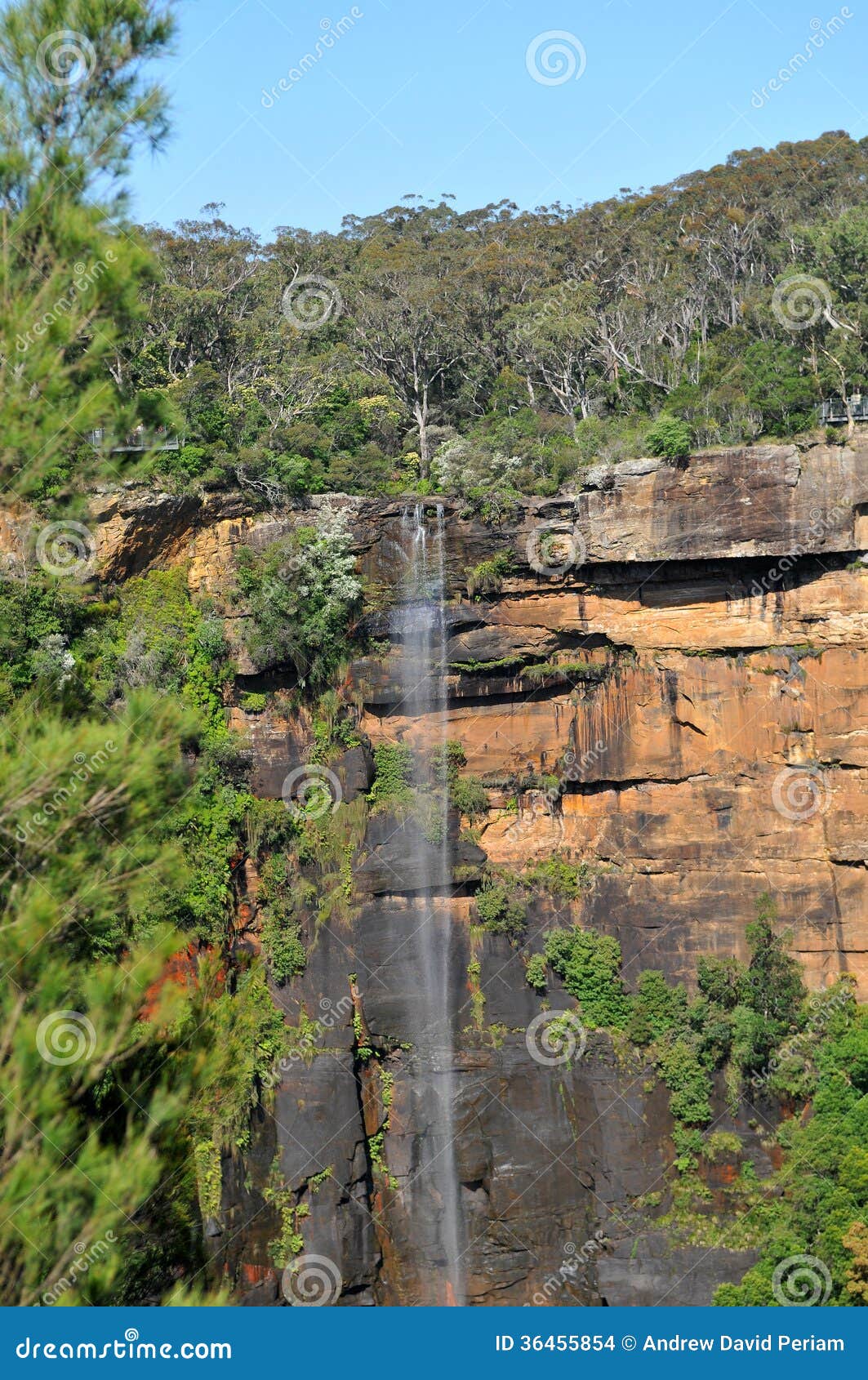 Fitzroy Falls stock photo. Image of rock, erosion, landscape - 36455854