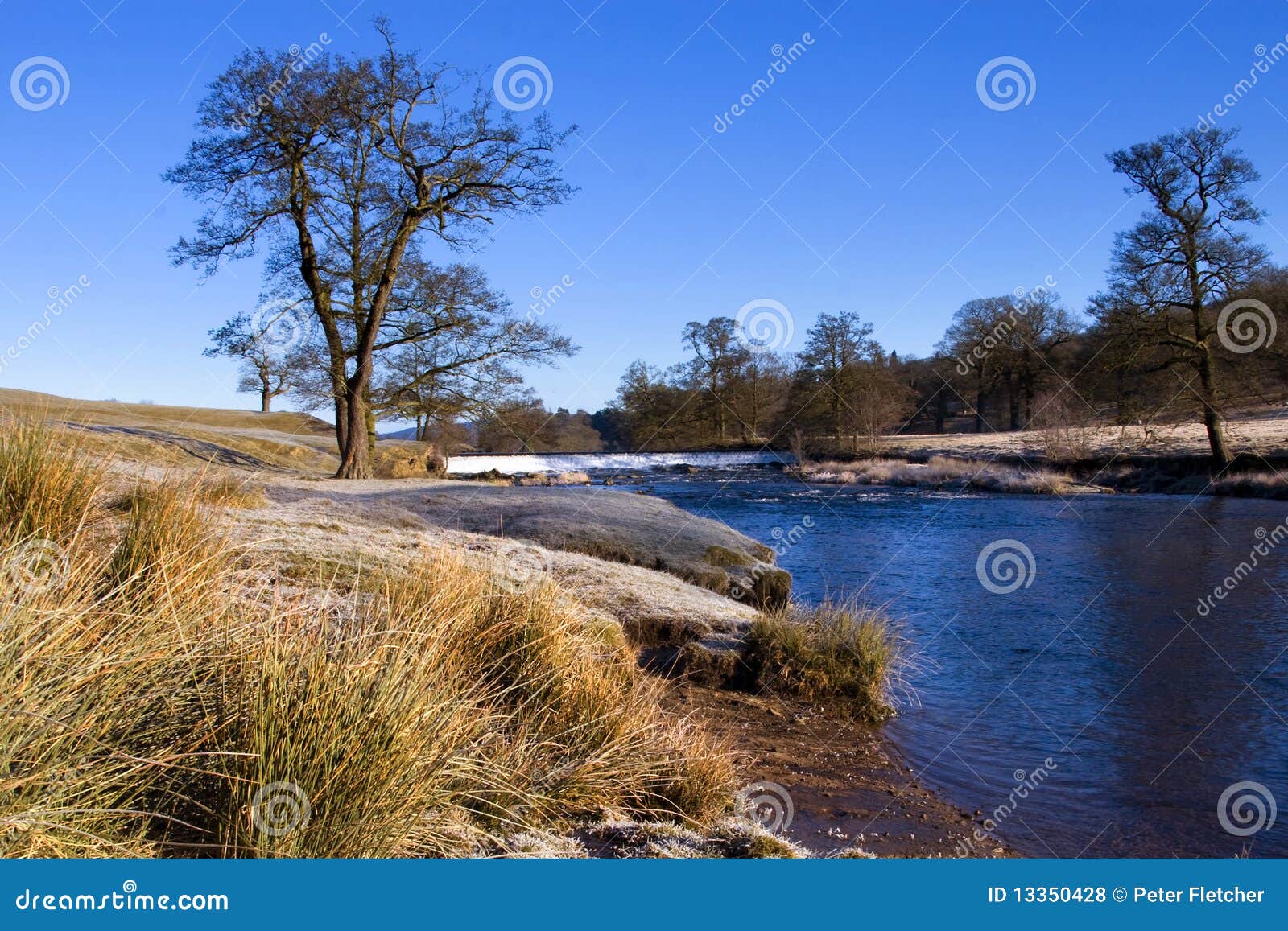Fiume fotografia stock. Immagine di limite, verde, alberi - 13350428