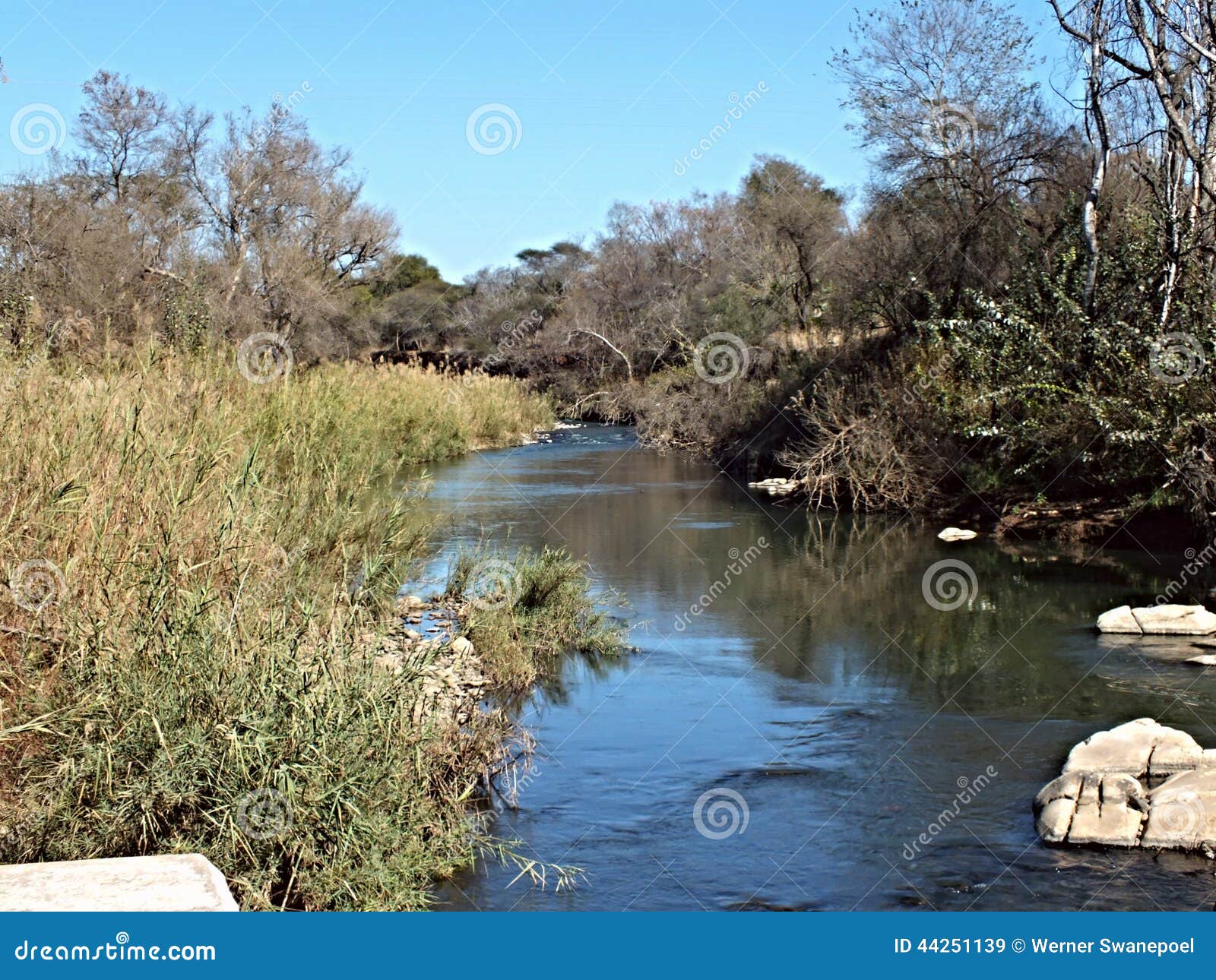 Fiume immagine stock. Immagine di fiume, africa, limpopo - 44251139